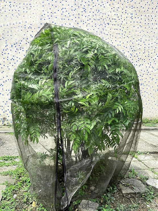 Amazon.com : BiirBlue 2 Pack 8x8 Ft Large Fruit Tree Netting, Netting ...