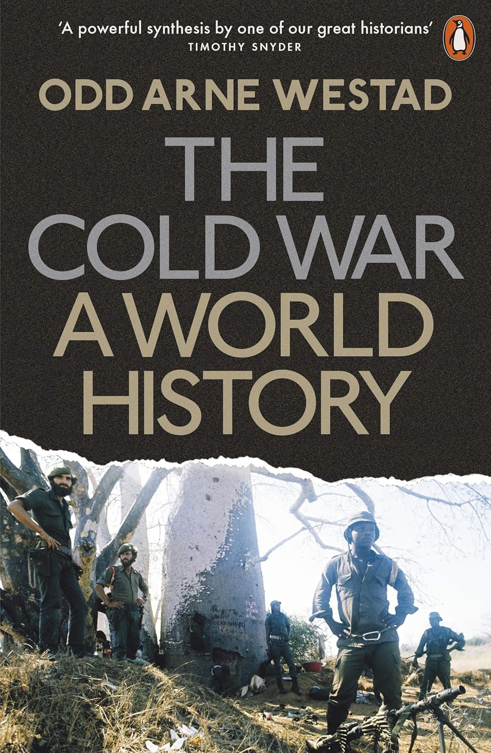 The Cold War: A World History : Westad, Odd Arne: Amazon.co.uk: Books