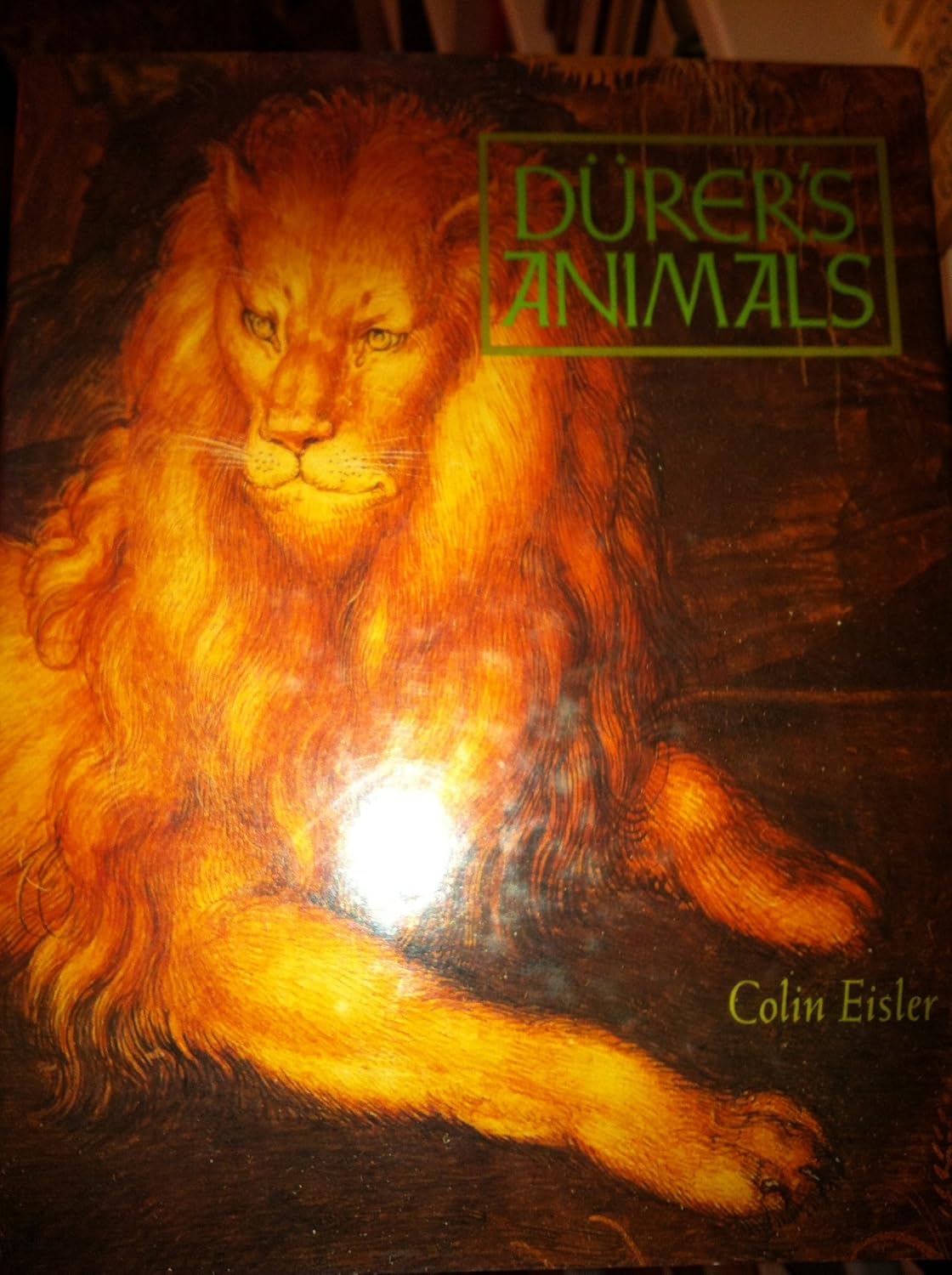 DURERS ANIMALS: Eisler, Colin: 9780874744088: Amazon.com: Books