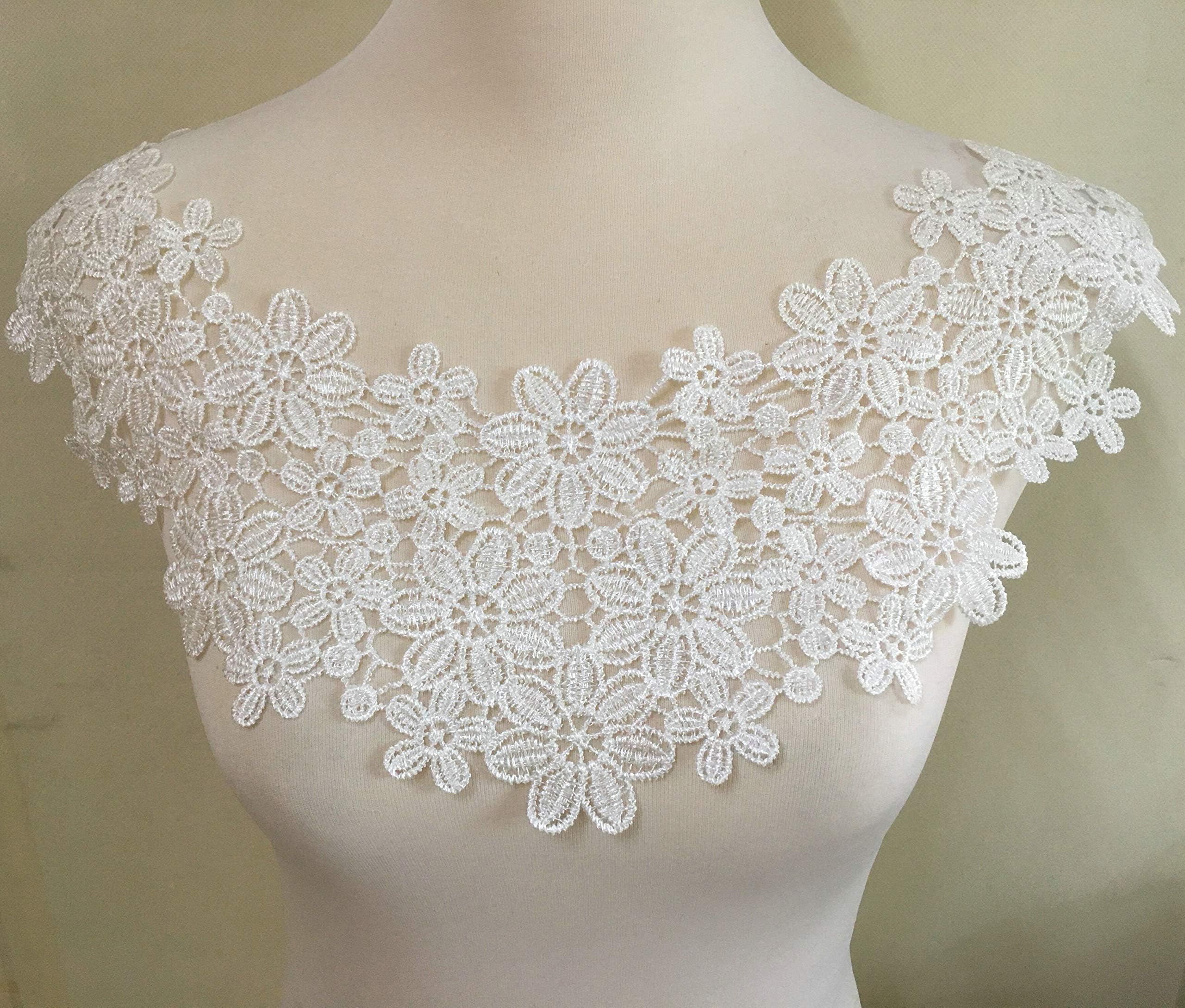 Amazon.com: Embroidered Floral Lace Neckline Neck Collar Trim Clothes ...