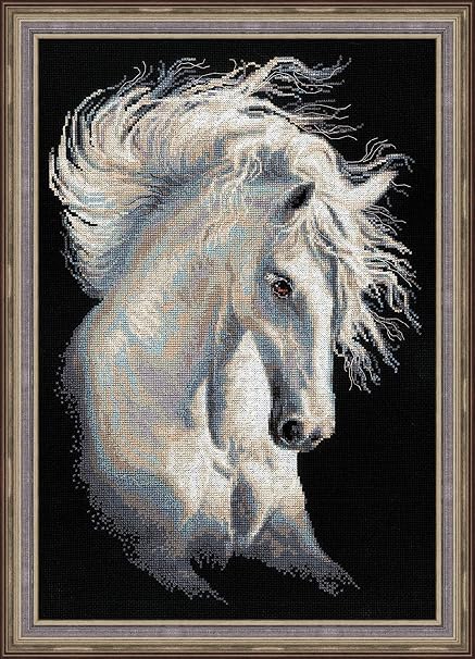 Amazon.com: RIOLIS - Andalusian Character 1451, Counted Cross Stitch ...