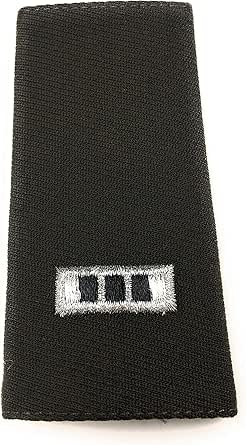 Amazon.com: Insignia Depot US Army AGSU Large Epaulet - Warrant Officer ...