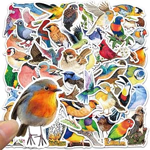 Amazon.com: Bird Stickers for Kids - 50 Pack Large Size Waterproof ...