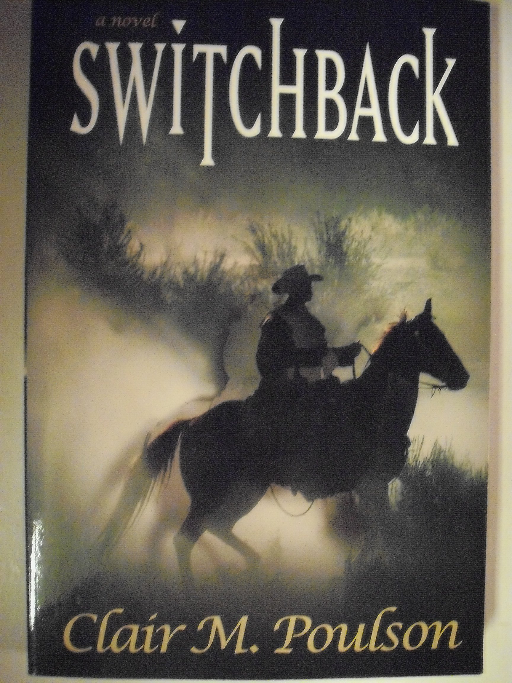 Switchback: Clair M. Poulson: 9781608618903: Amazon.com: Books
