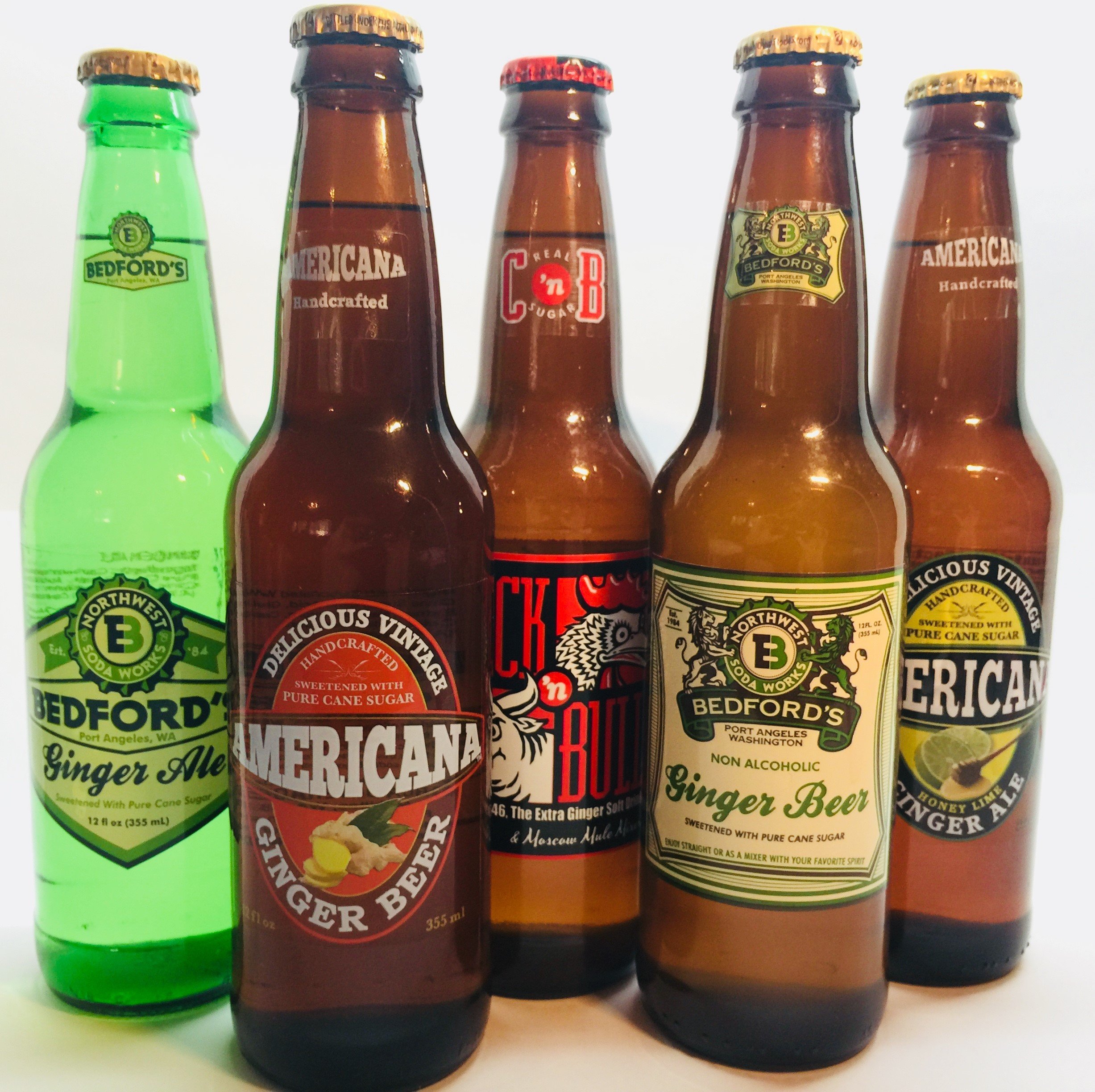 Amazon.com : (Mix Case) Ginger Ale/Ginger Beer Collection 12 Pack ...