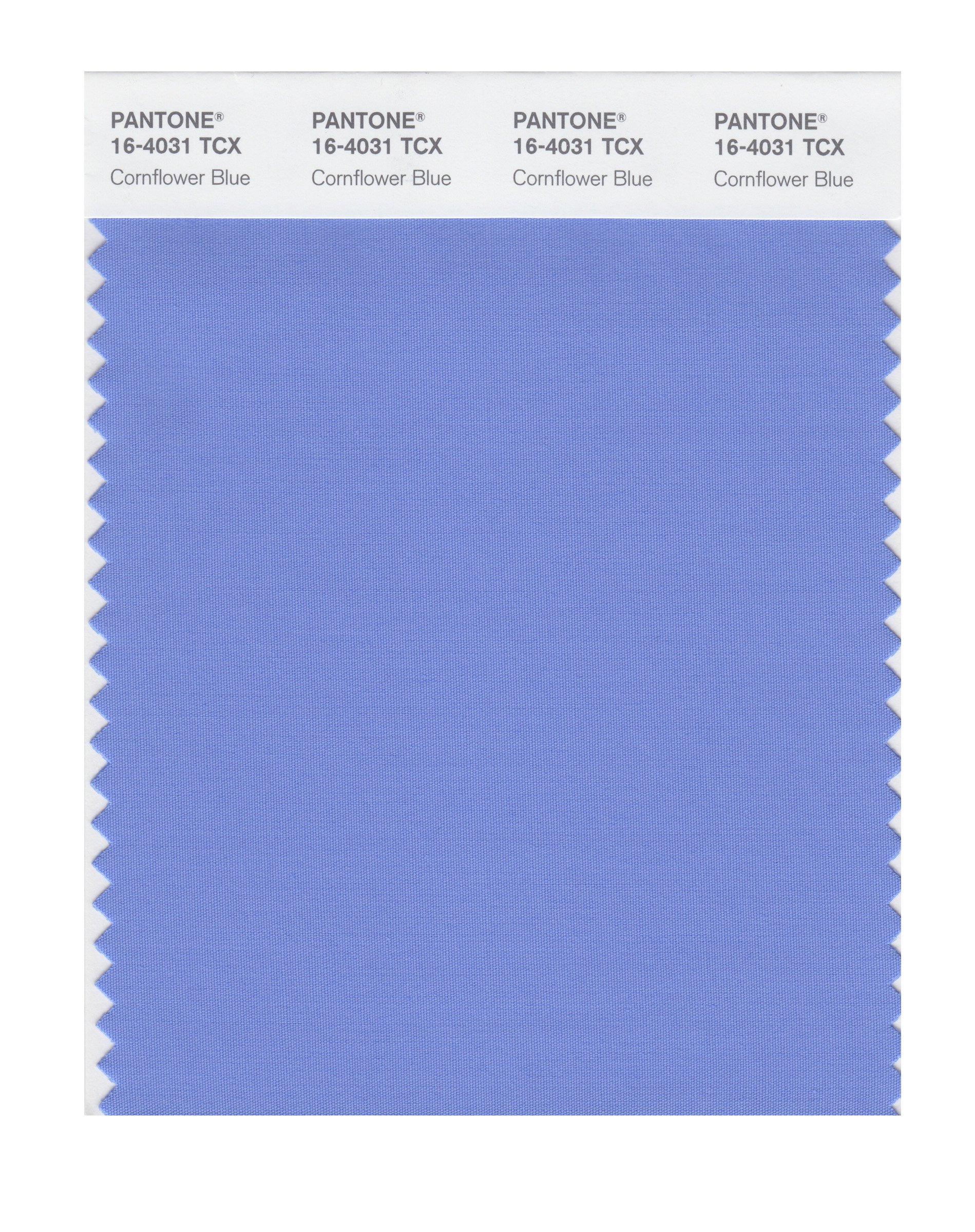 PANTONE Smart 16-4031X Color Swatch Card, Cornflower Blue - House Paint ...