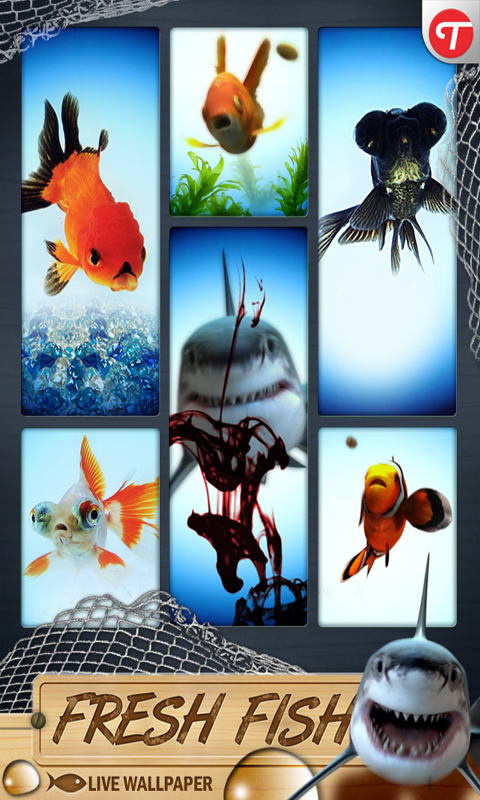 Fresh Fish Aquarium Live Wallpaper - App on Amazon Appstore