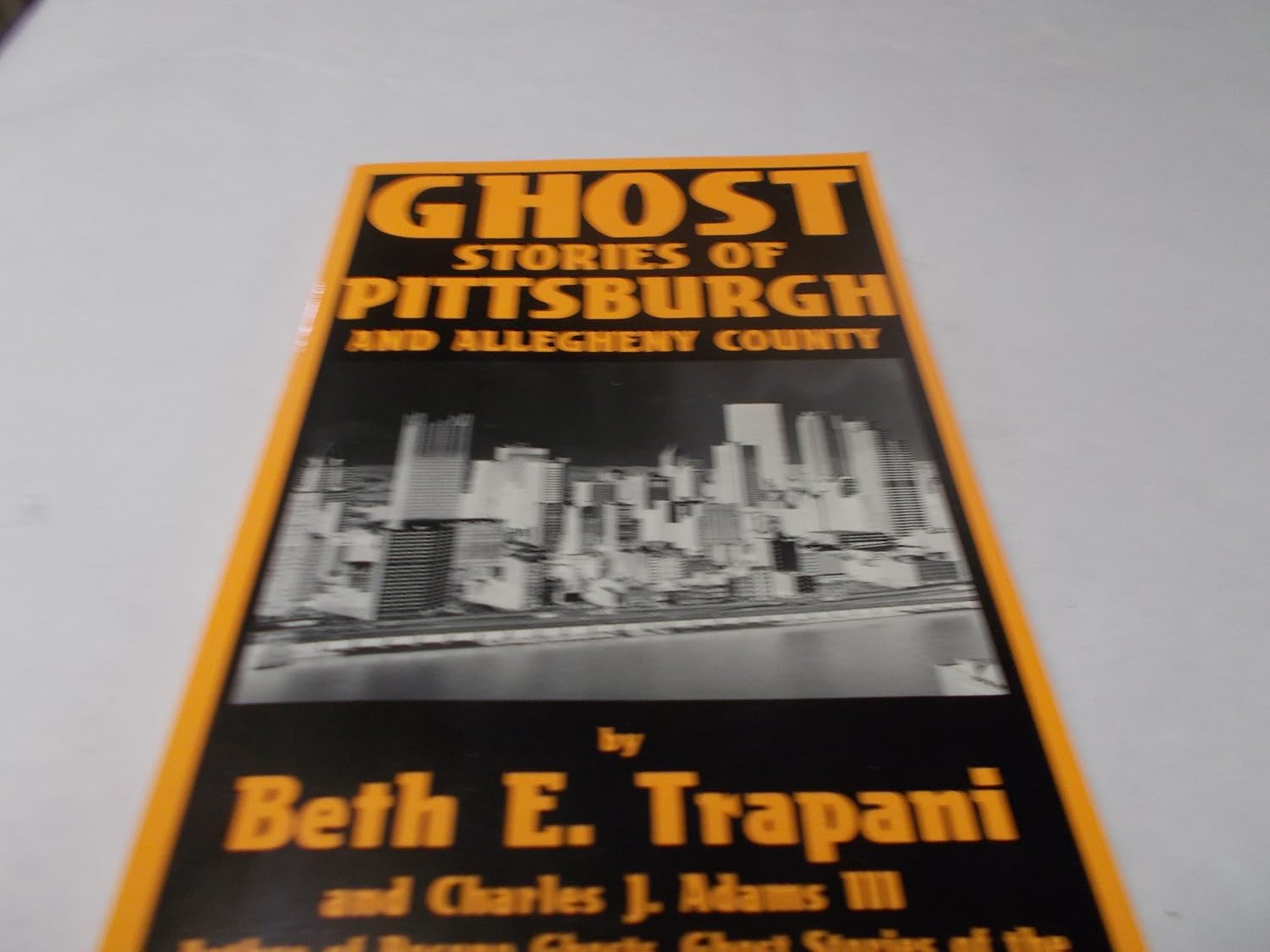 Ghost Stories of Pittsburgh and Allegheny County: Beth E. Trapani ...