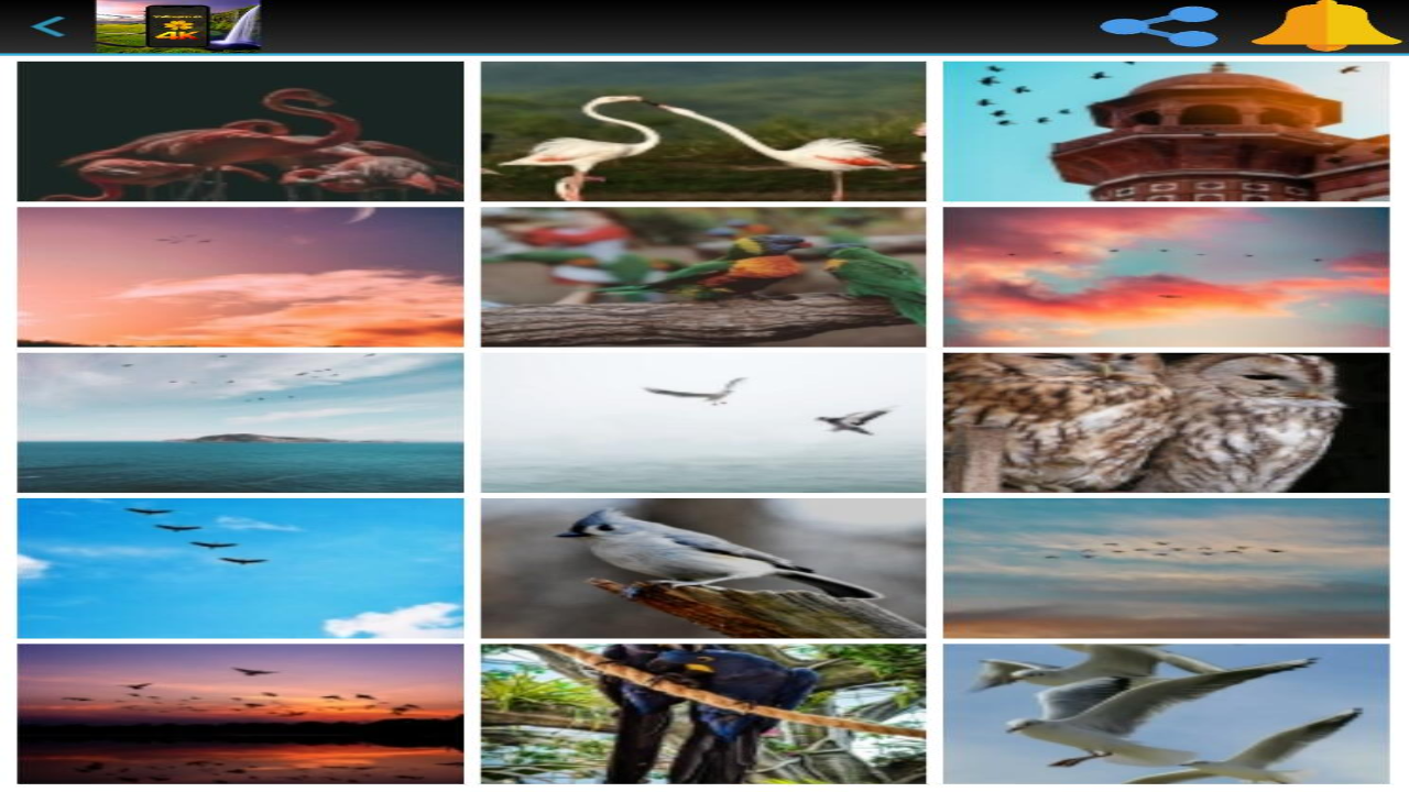 Wallpapers 4k - App on Amazon Appstore