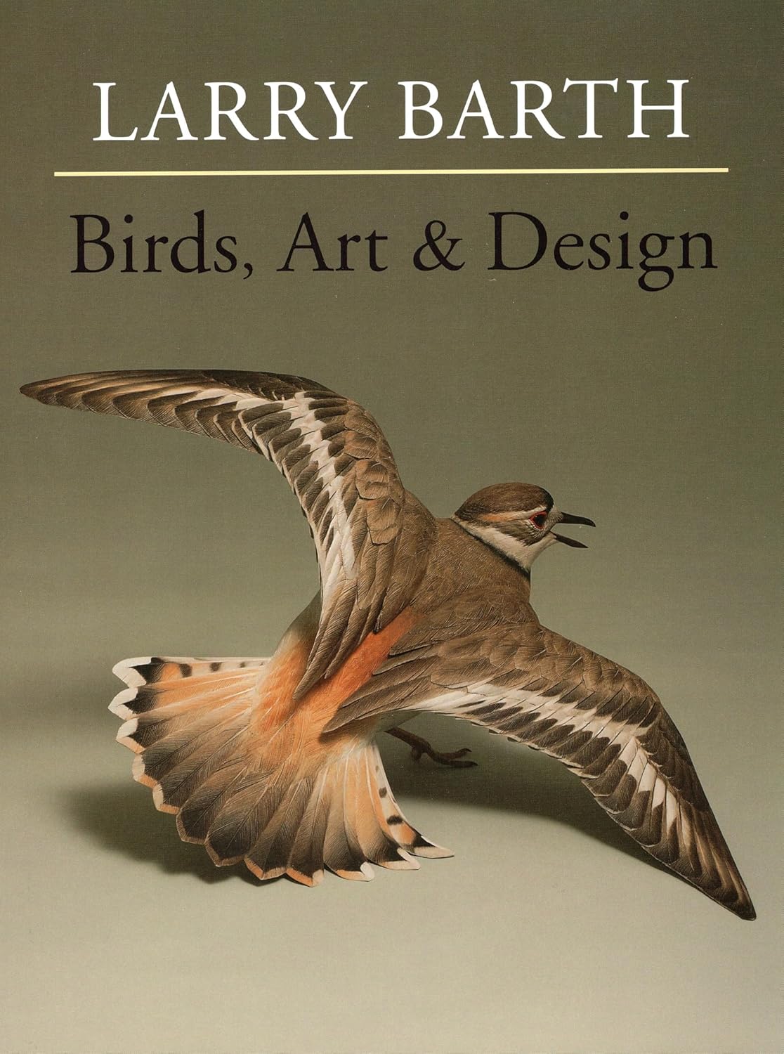 Birds, Art & Design: Barth, Larry: 9780811713597: Amazon.com: Books