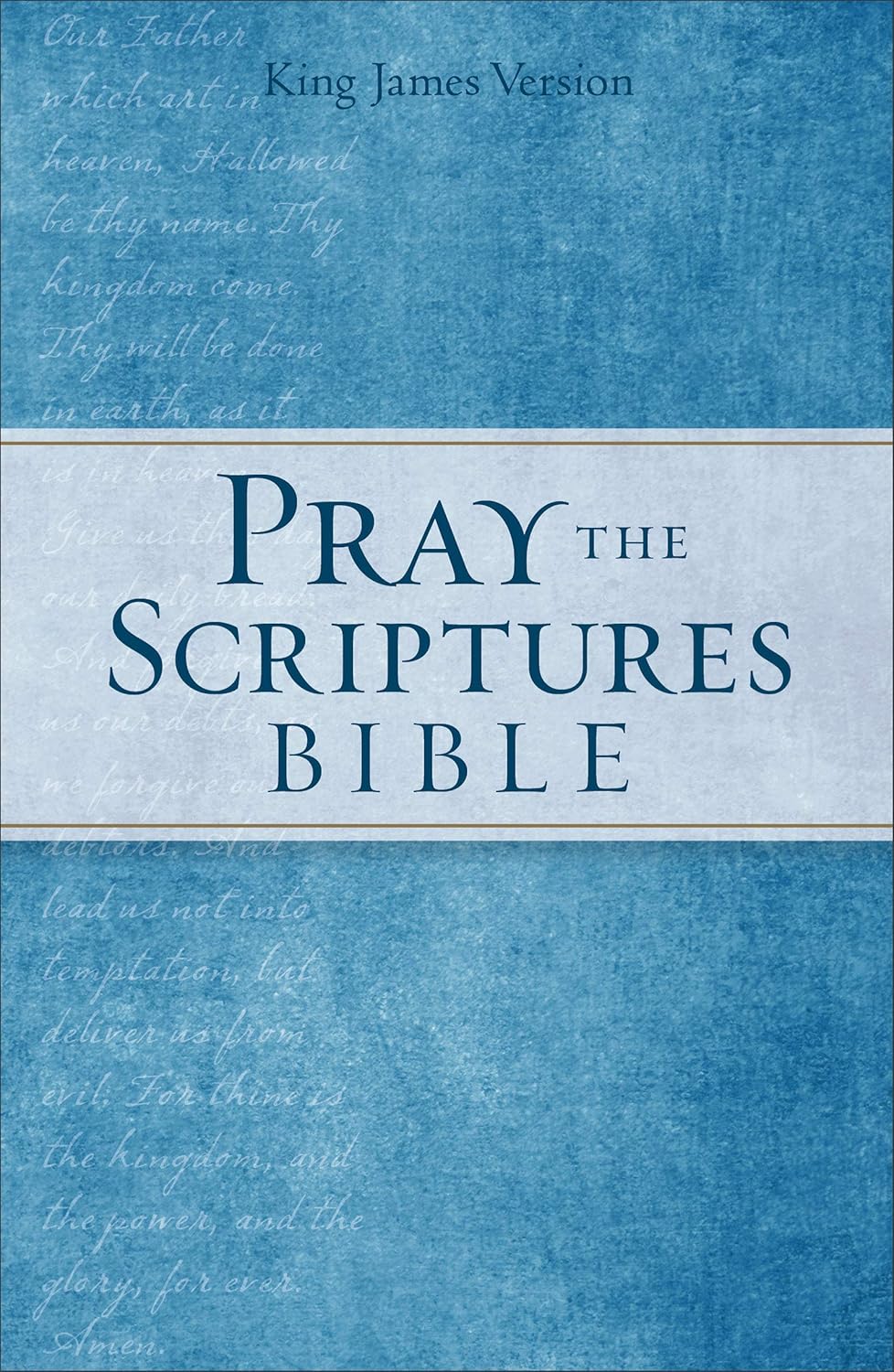 KJV Pray the Scriptures Bible: Johnson, Kevin: 9780764219542: Amazon ...