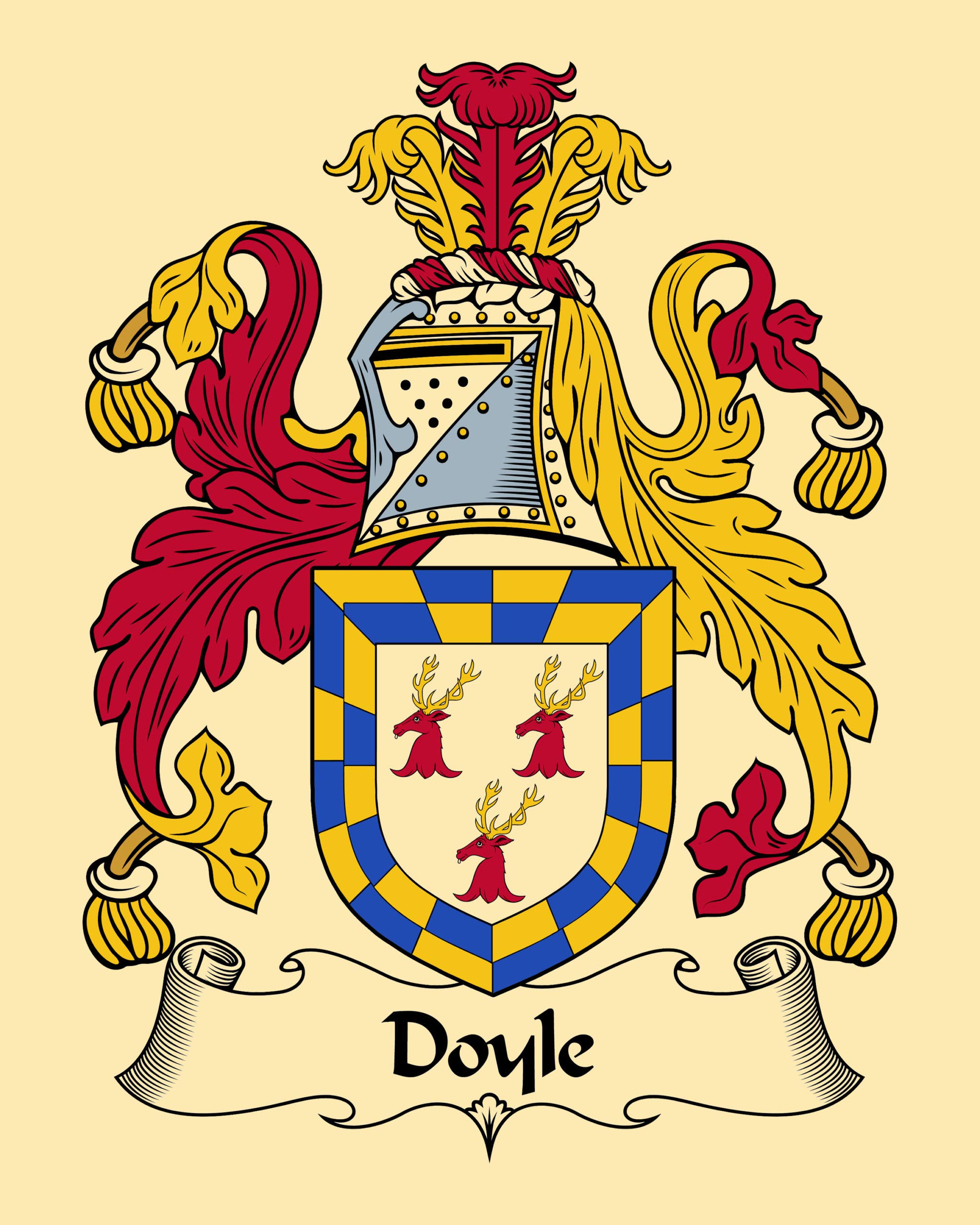 Amazon.com: Carpe Diem Designs Doyle Coat of Arms/Doyle Family Crest ...