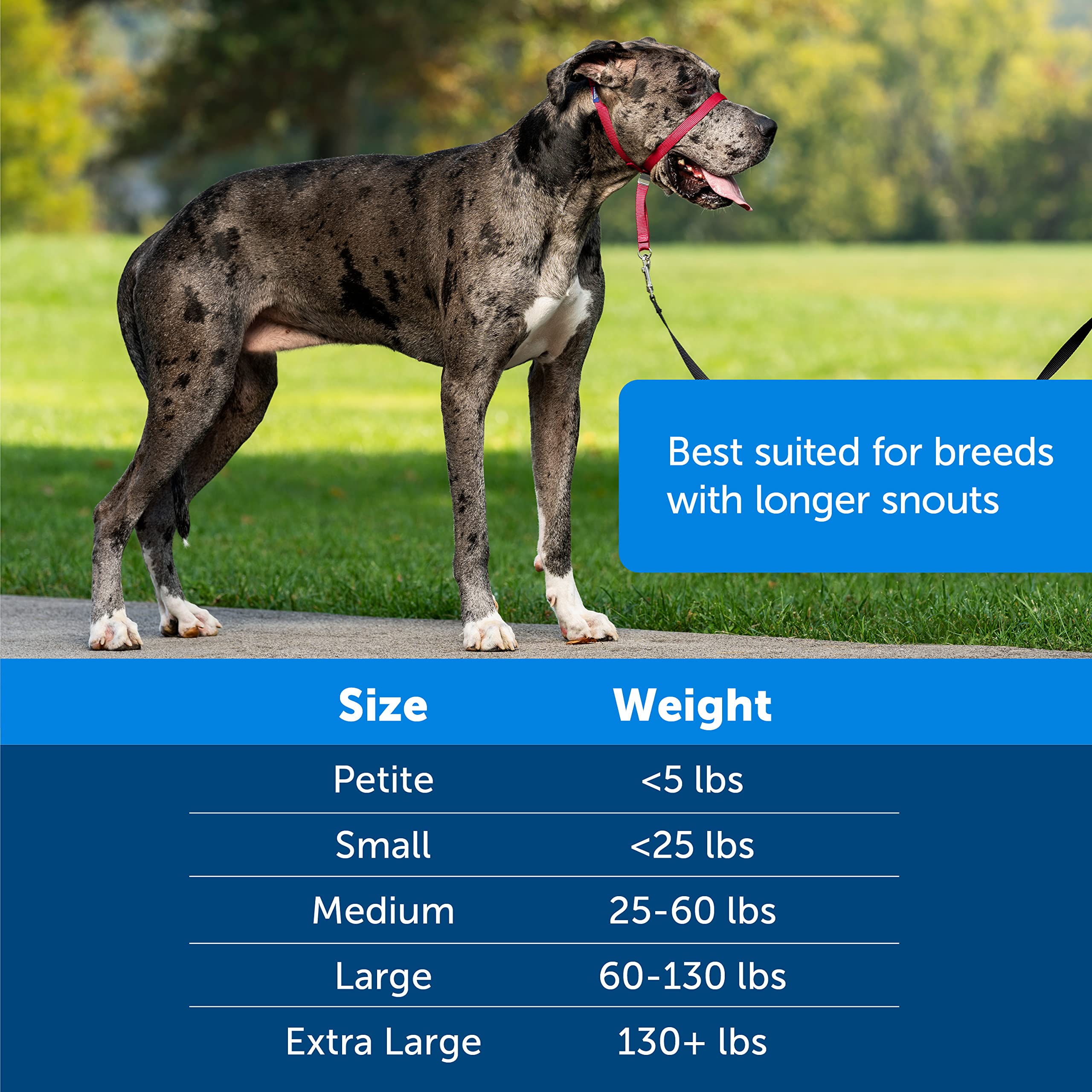Premier Gentle Leader Head Collar Medium Red NO Pull Dog Leash Harness ...