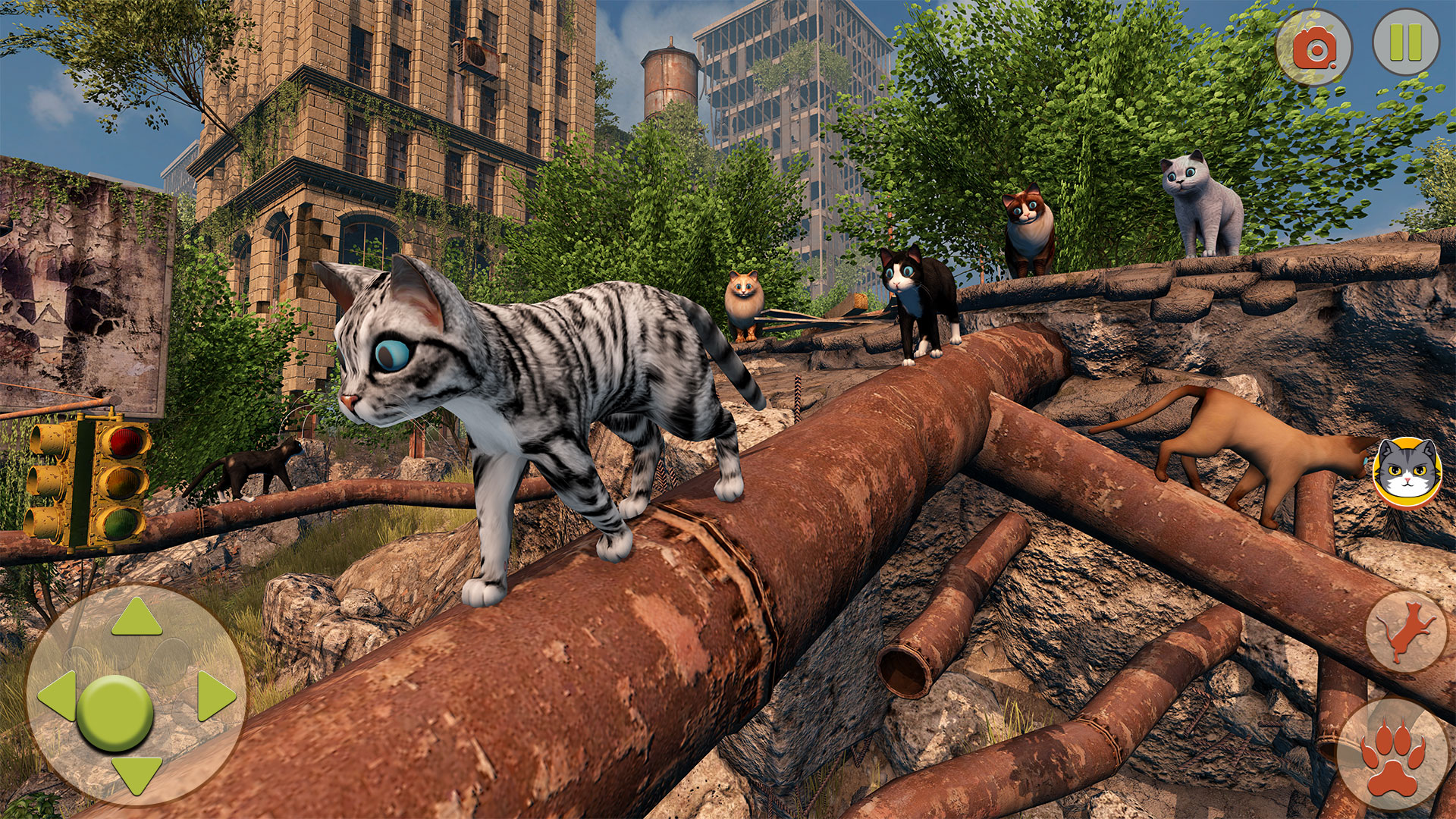 Wander Cat Simulator Games - App on Amazon Appstore