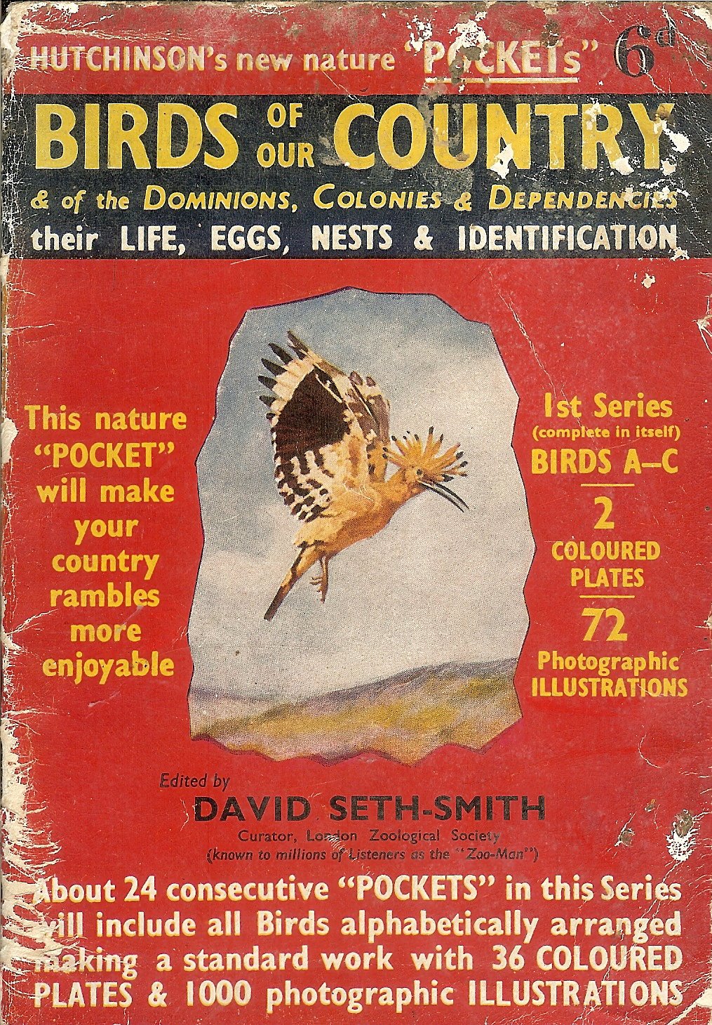 Birds of our Country.: D Seth-Smith: Amazon.com: Books