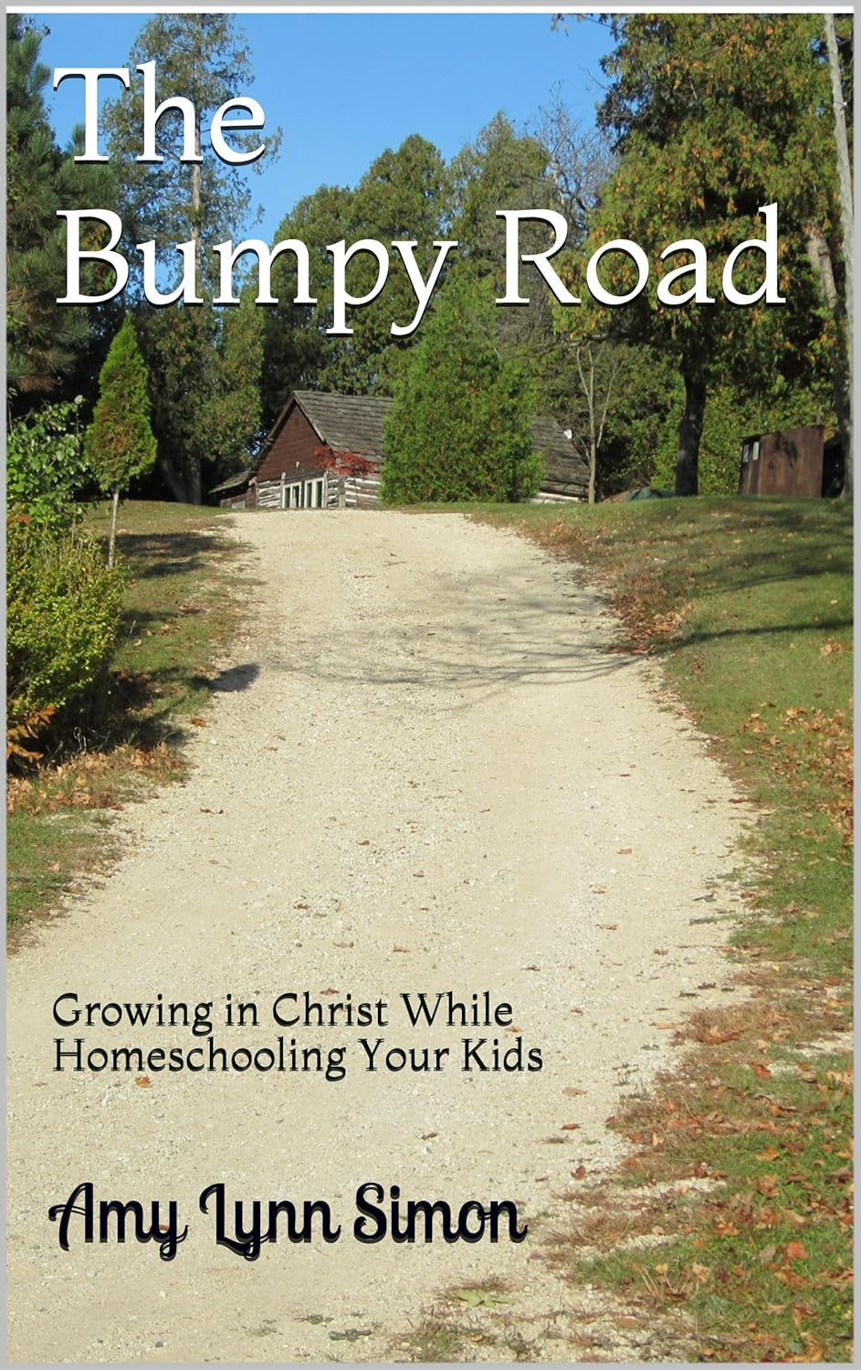 Amazon.com: The Bumpy Road: Growing in Christ While Homeschooling Your ...