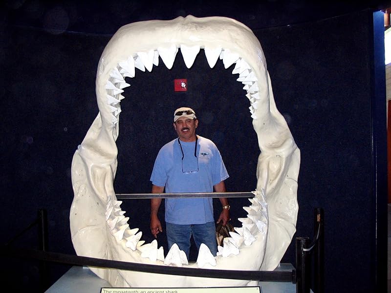 Amazon.com: Pacific Intertidal Life: A Guide to Organisms of Rocky ...