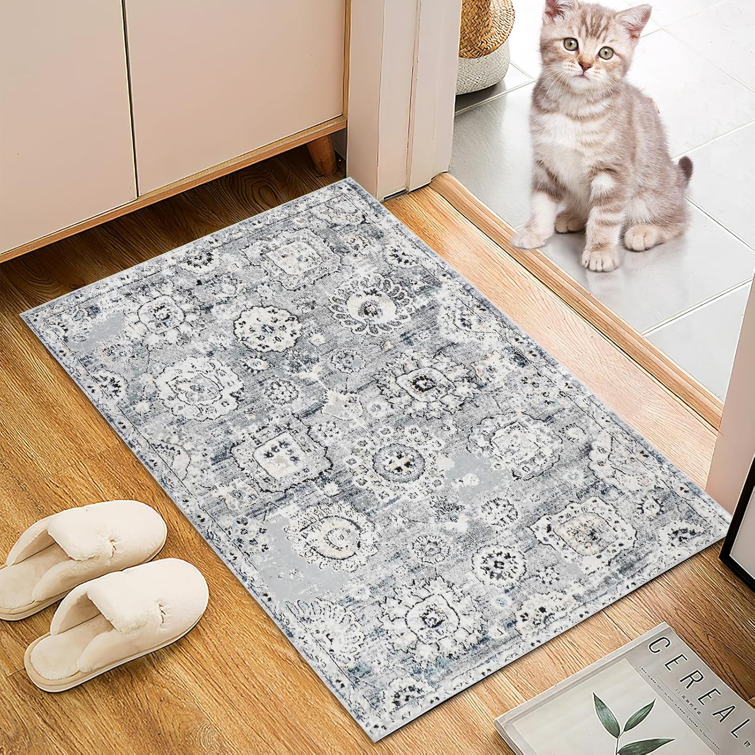 Amazon.com: FUNME Area Rug 2x3 Washable Entryway Rug Non Slip Dirt ...