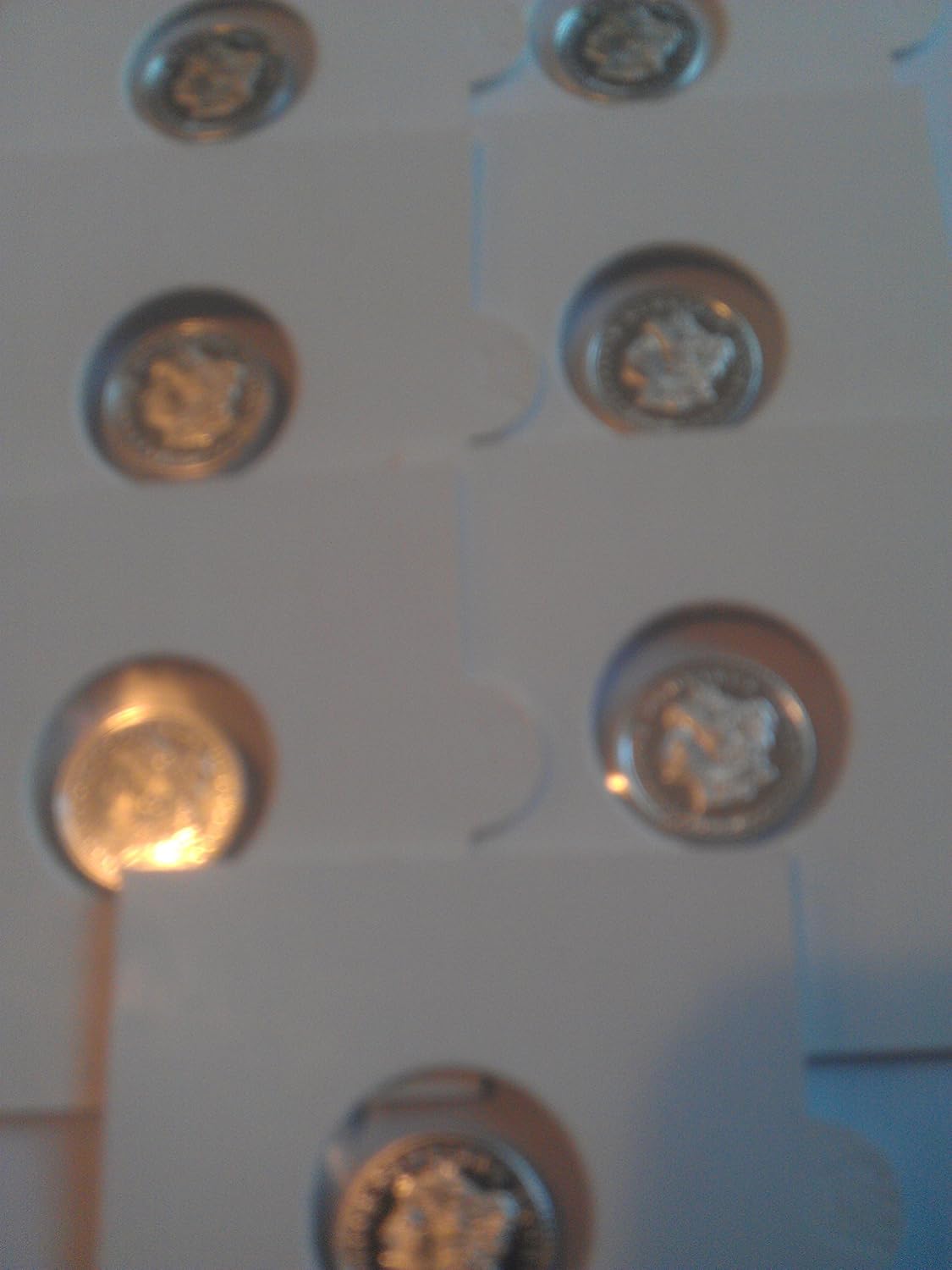 Amazon.com: REEDERSONG 1 Gram Silver Morgan Rounds-7 Pack : Everything Else