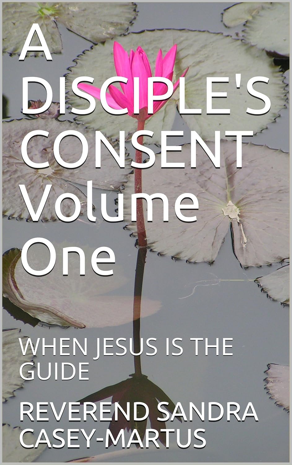 A DISCIPLE'S CONSENT Volume One: WHEN JESUS IS THE GUIDE eBook : CASEY ...
