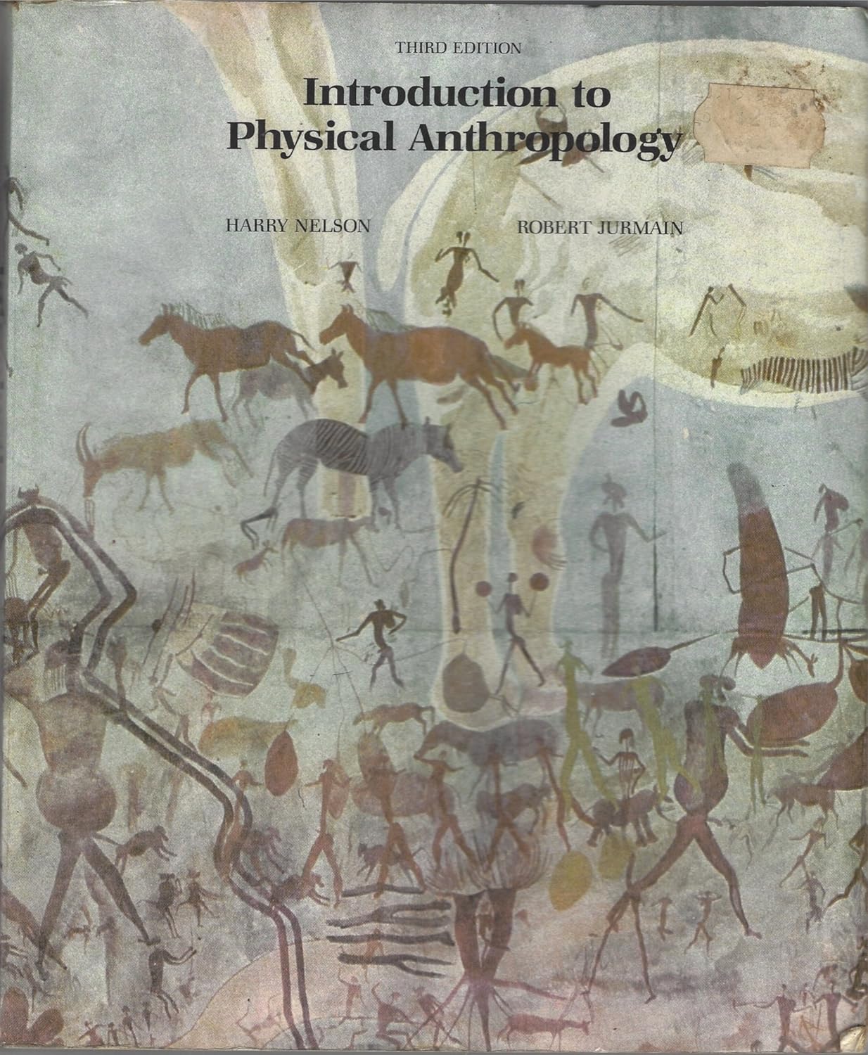 Introduction to physical anthropology: Nelson, Harry: 9780314852823 ...