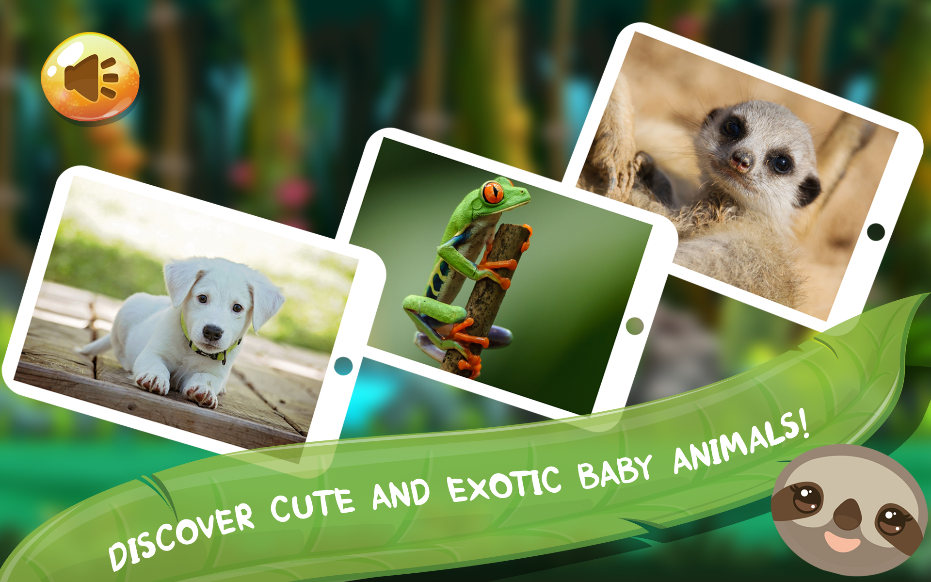 Baby Forest - Animal Sounds and Pictures - App on Amazon Appstore