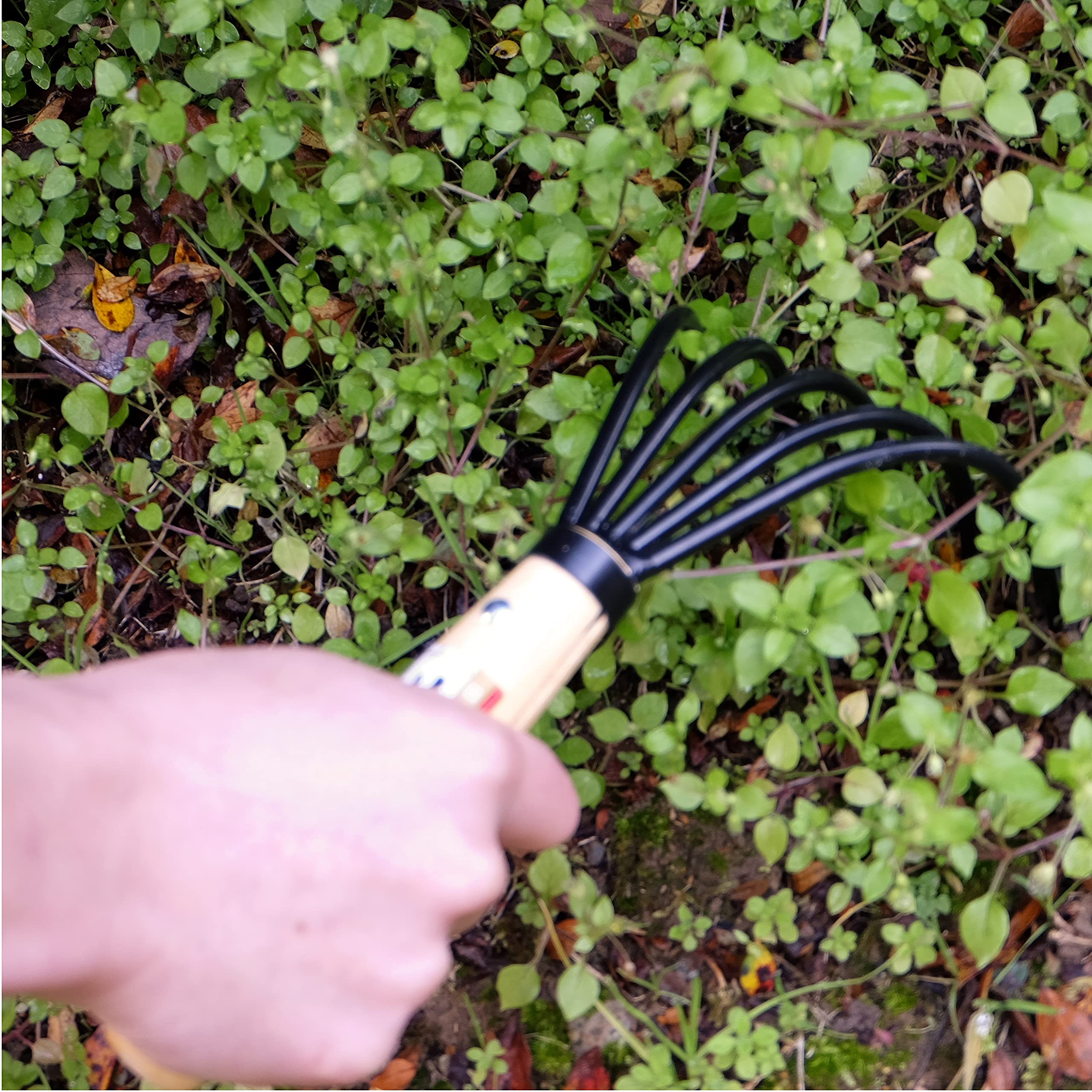 Snapklik.com : Hand Cultivator Garden Tool 10", Handheld Rake For ...
