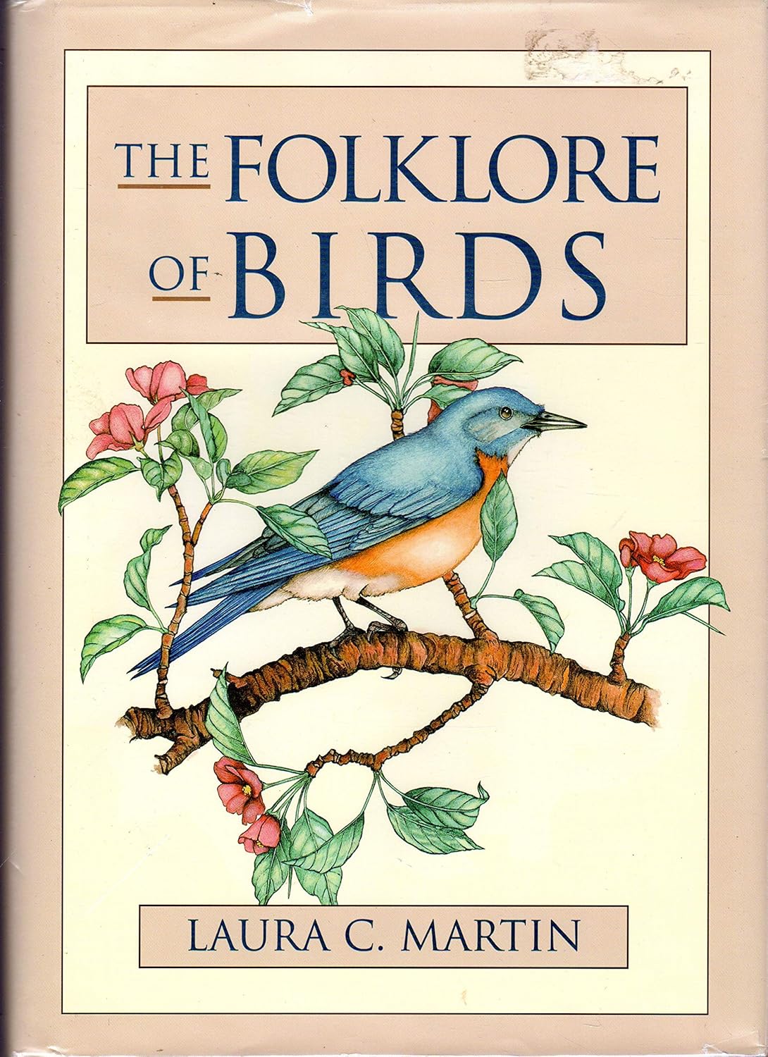 The Folklore of Birds: Martin, Laura C., Magellan, Mauro: 9781564402165 ...
