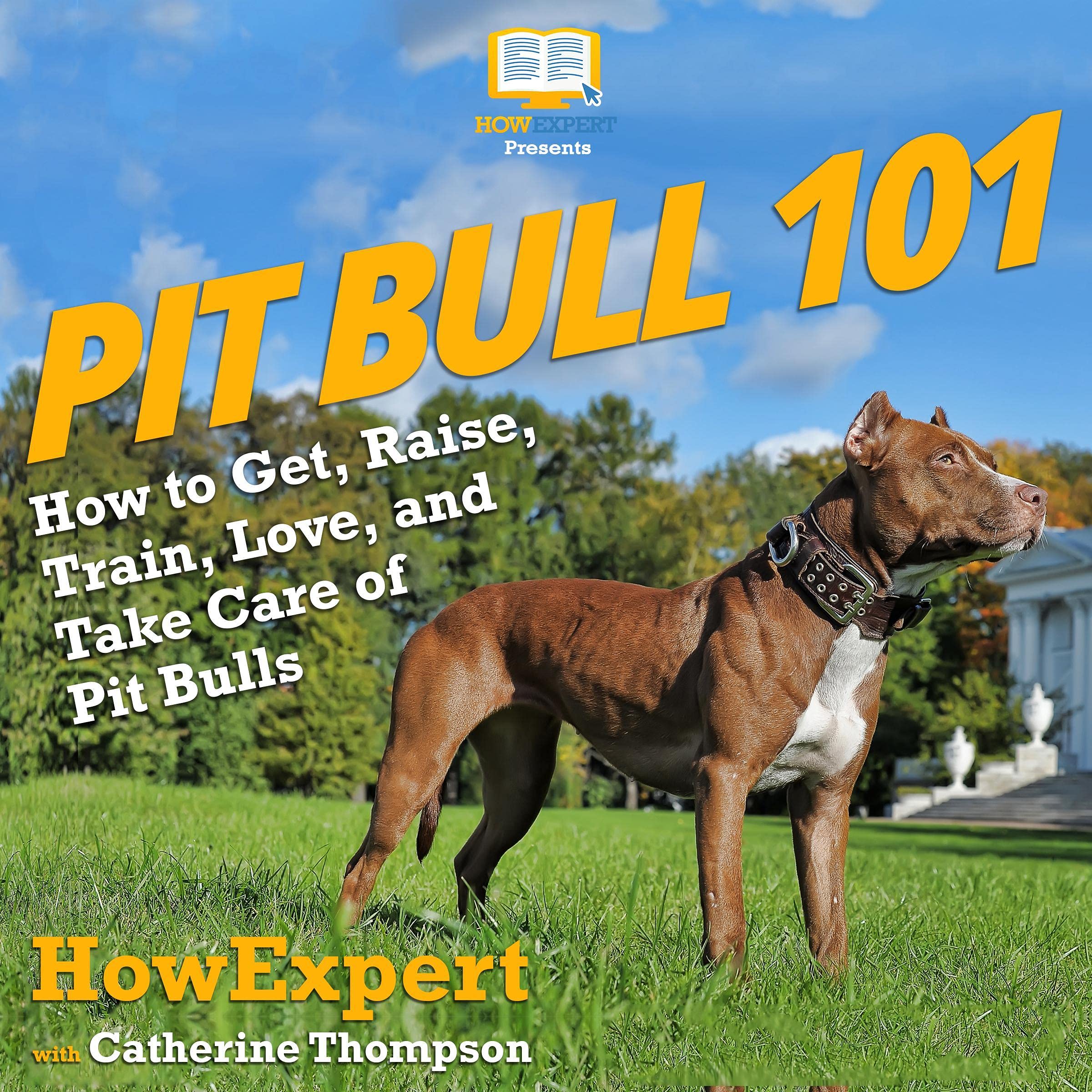 Buy Pit Bull 101: How to Get, Raise, Train, Love, and Take Care of Pit ...