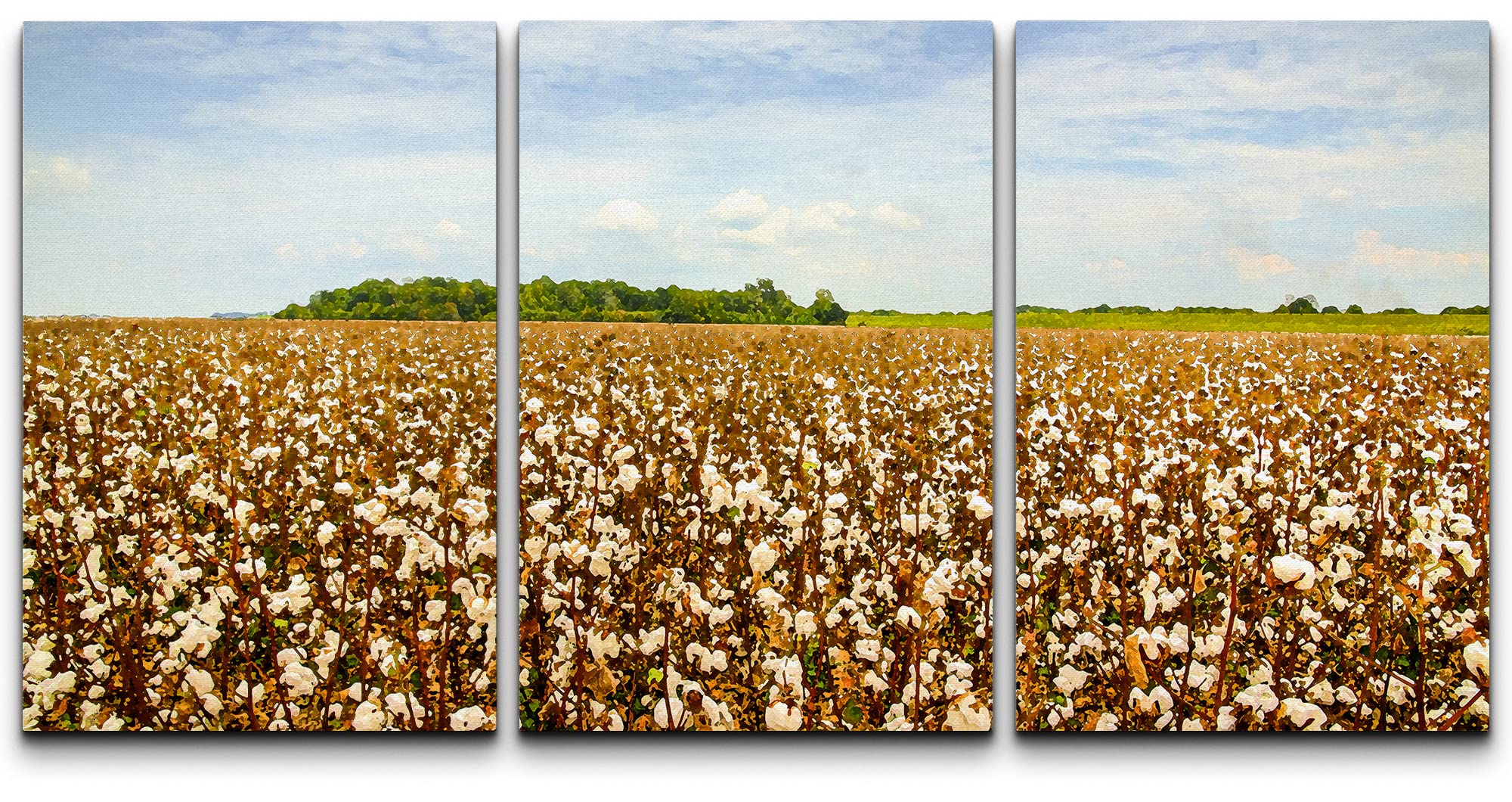 Cotton Field Painting