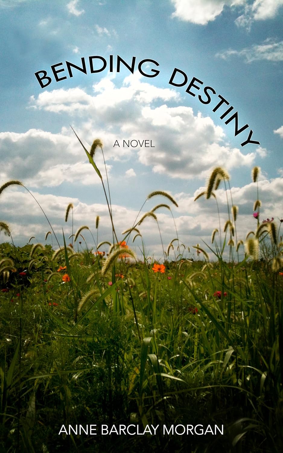 Bending Destiny - Kindle edition by Morgan, Anne Barclay. Romance ...