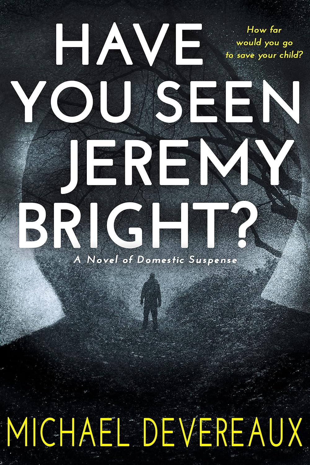 Amazon.com: Have You Seen Jeremy Bright?: A Novel of Domestic Suspense ...