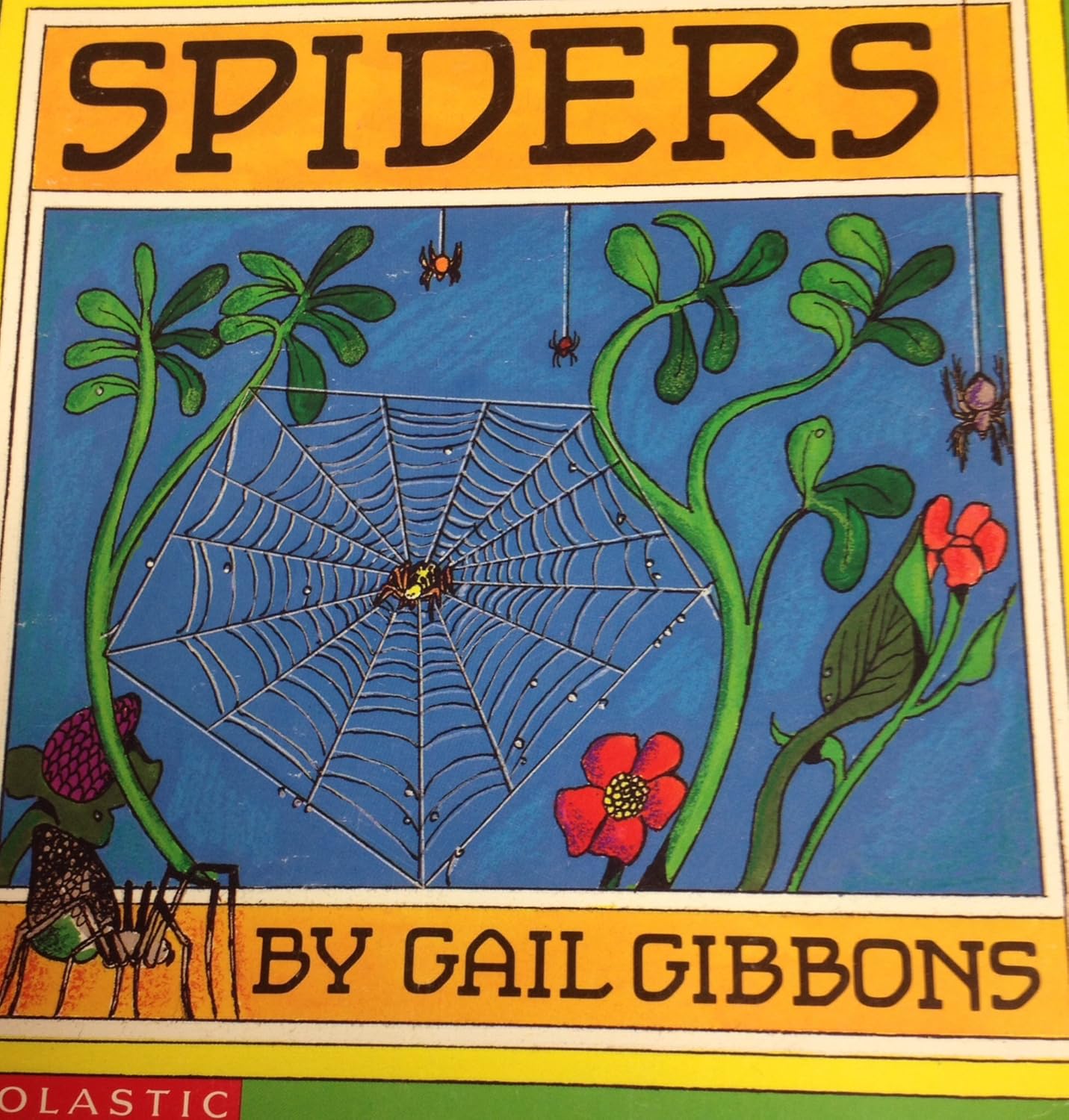 Spiders: Gibbons, Gail: 9780590478748: Amazon.com: Books