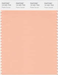 PANTONE Smart 13-1021X Color Swatch Card, Prairie Sunset - Wall Decor ...