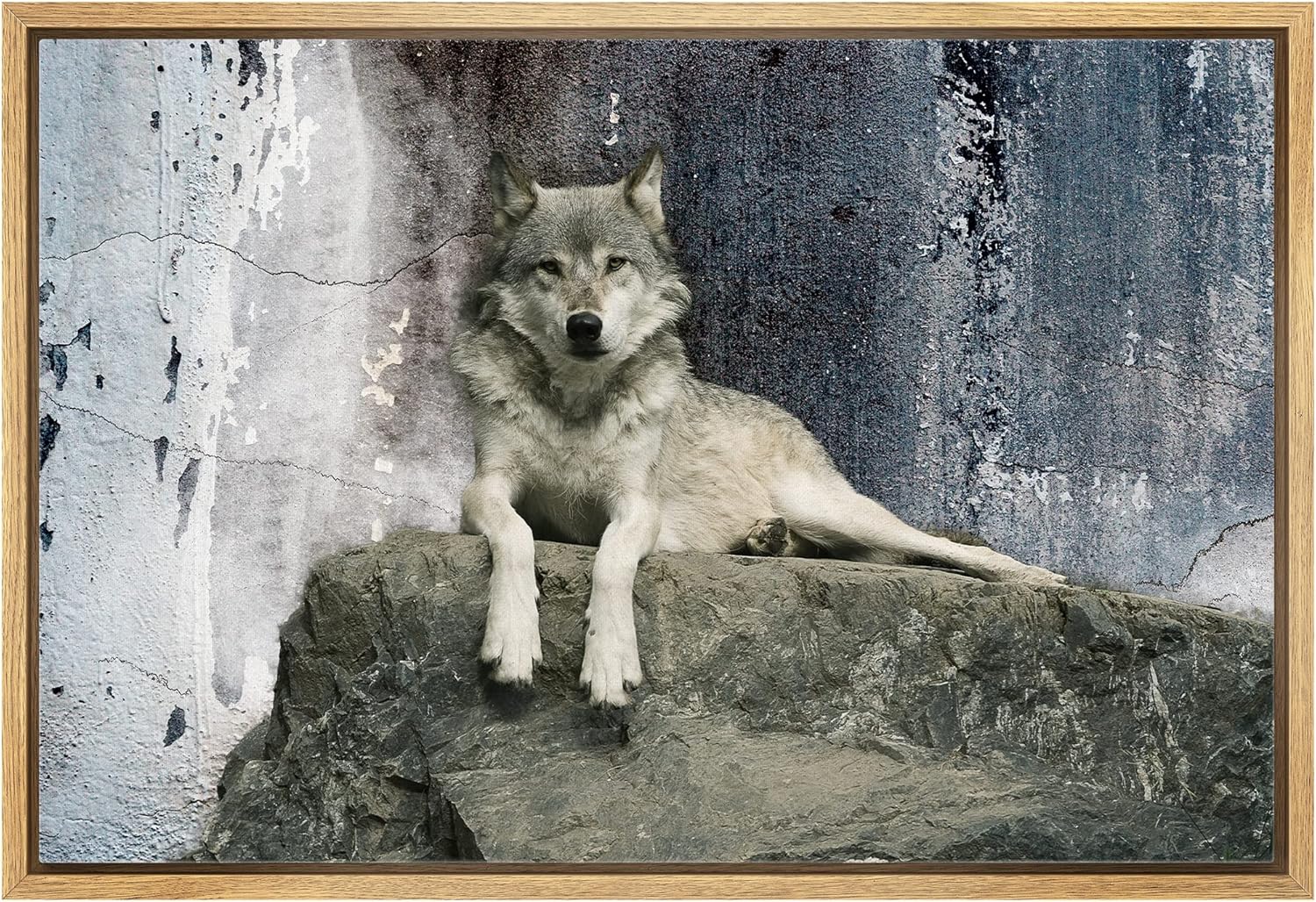 Amazon.com: wall26 - Animal Theme Framed Canvas Wall Art - A Wolf ...