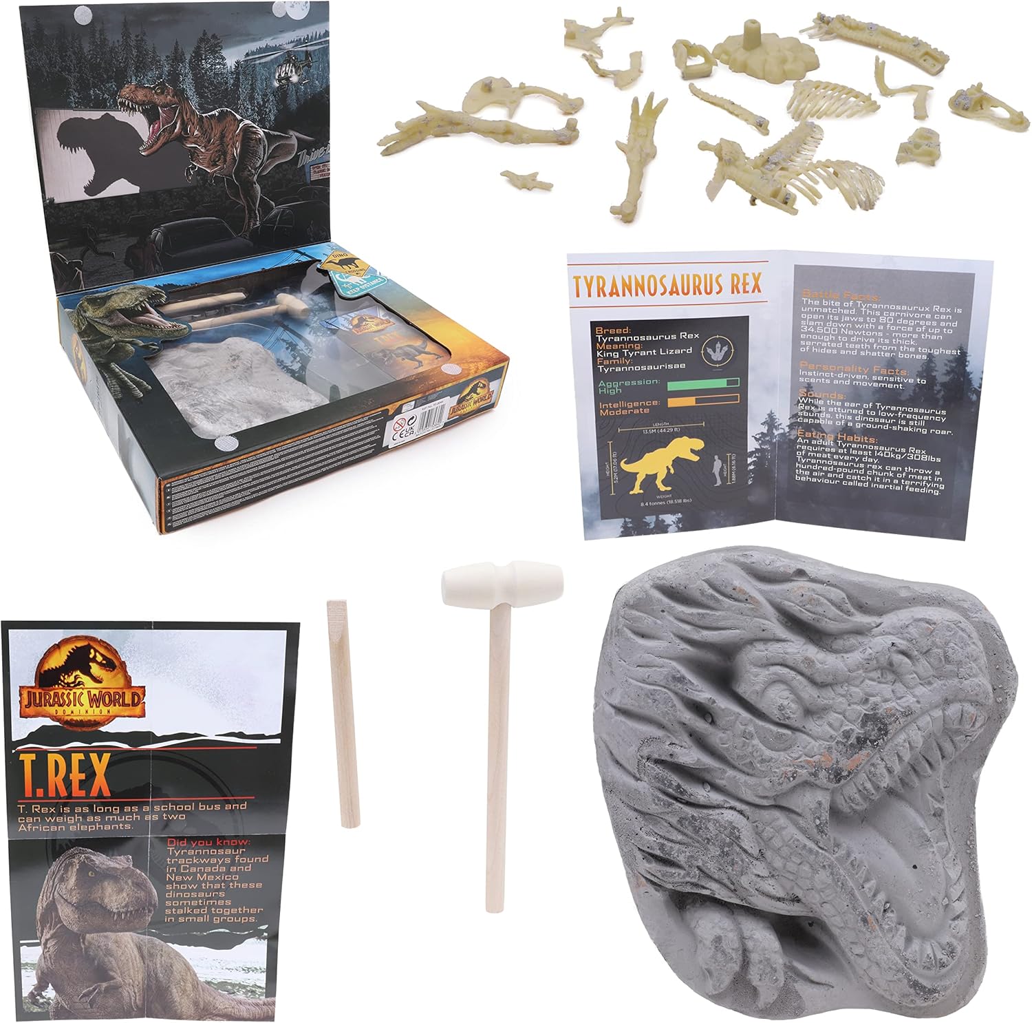 Toyland® T-Rex Skull Dig Kit - Display Stand Included - Boys Dinosaur ...
