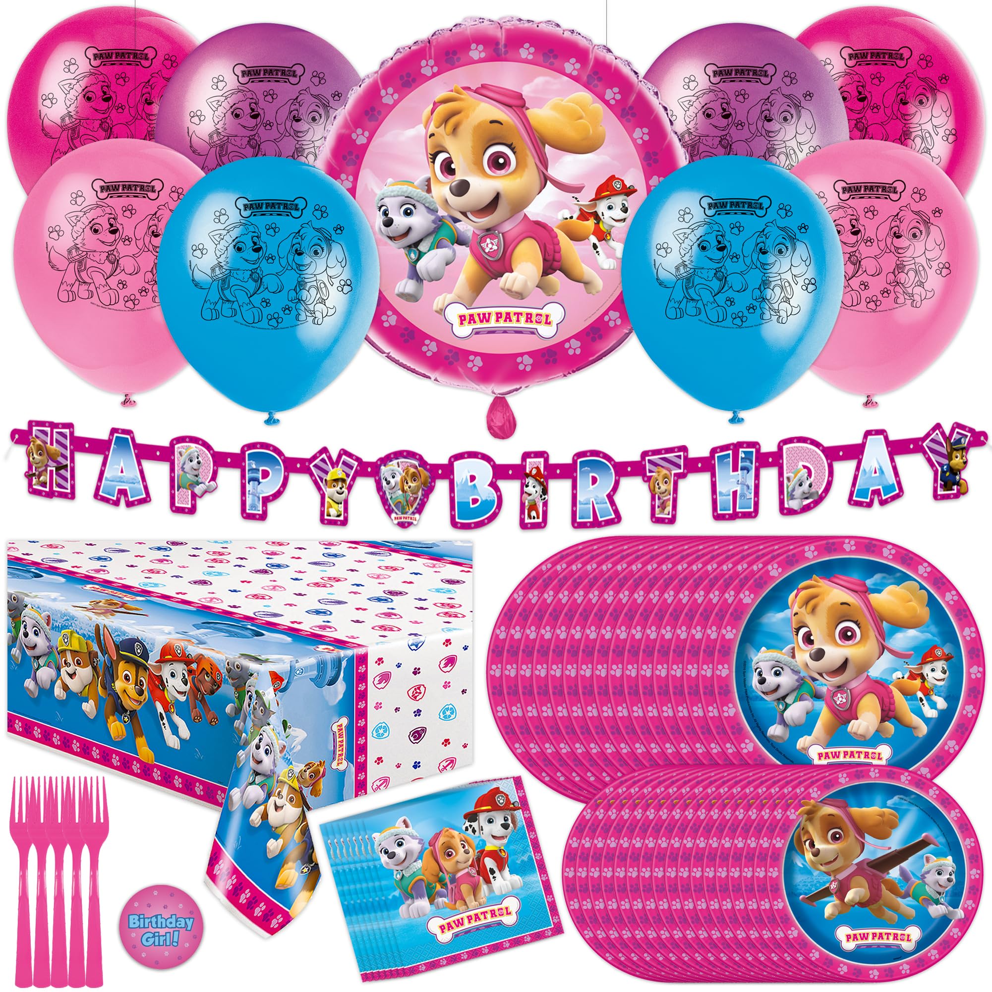 Amazon.com: Skye Paw Patrol Birthday Decorations | Serves 16 | Paw ...