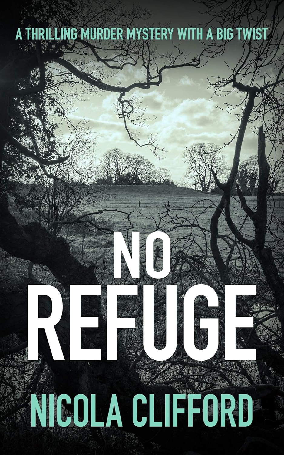 No Refuge: A thrilling murder mystery with a big twist (The Welsh crime ...