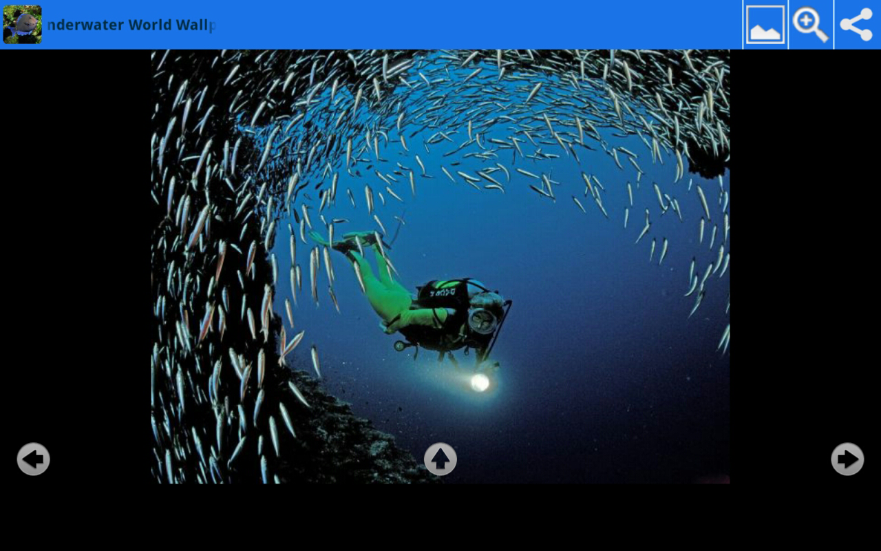 Underwater World Wallpapers - App on Amazon Appstore