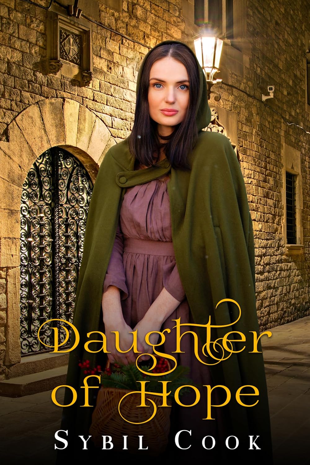 Daughter of Hope eBook : Cook, Sybil: Amazon.co.uk: Kindle Store