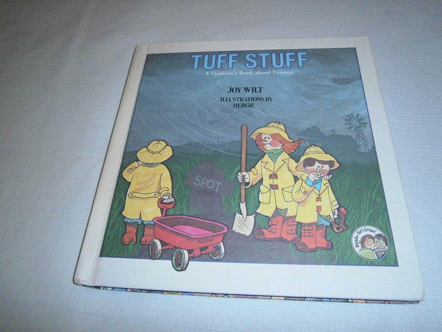 Tuff Stuff: A Children's Book About Trauma: Berry, Joe, Ernie ...
