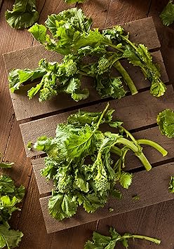 Amazon.com : “Spring Rapini” Broccoli Raab Seeds – Fast-Growing Early ...