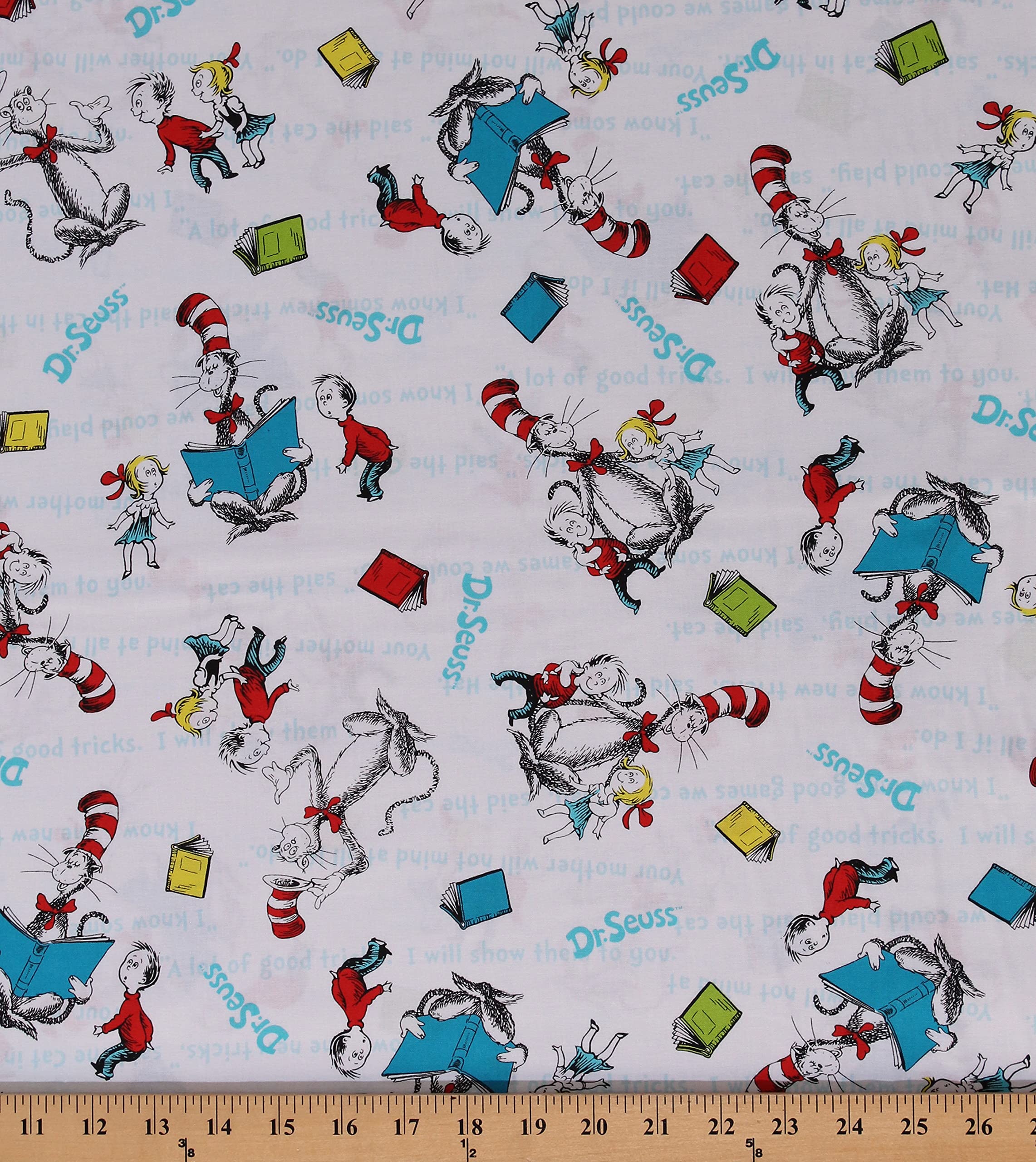 The Cat In The Hat Sally And Conrad Book