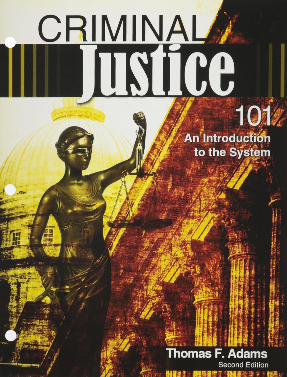 Criminal Justice 101: An Introduction to the System: Amazon.co.uk ...