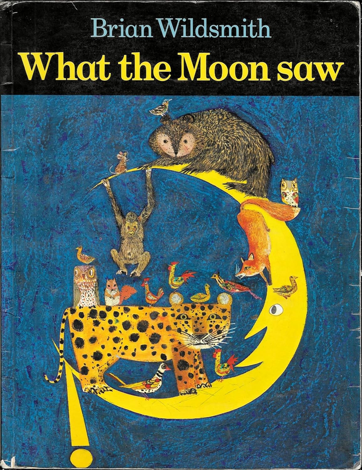 Amazon.com: What the Moon Saw: 9780192721570: Wildsmith, Brian: Books