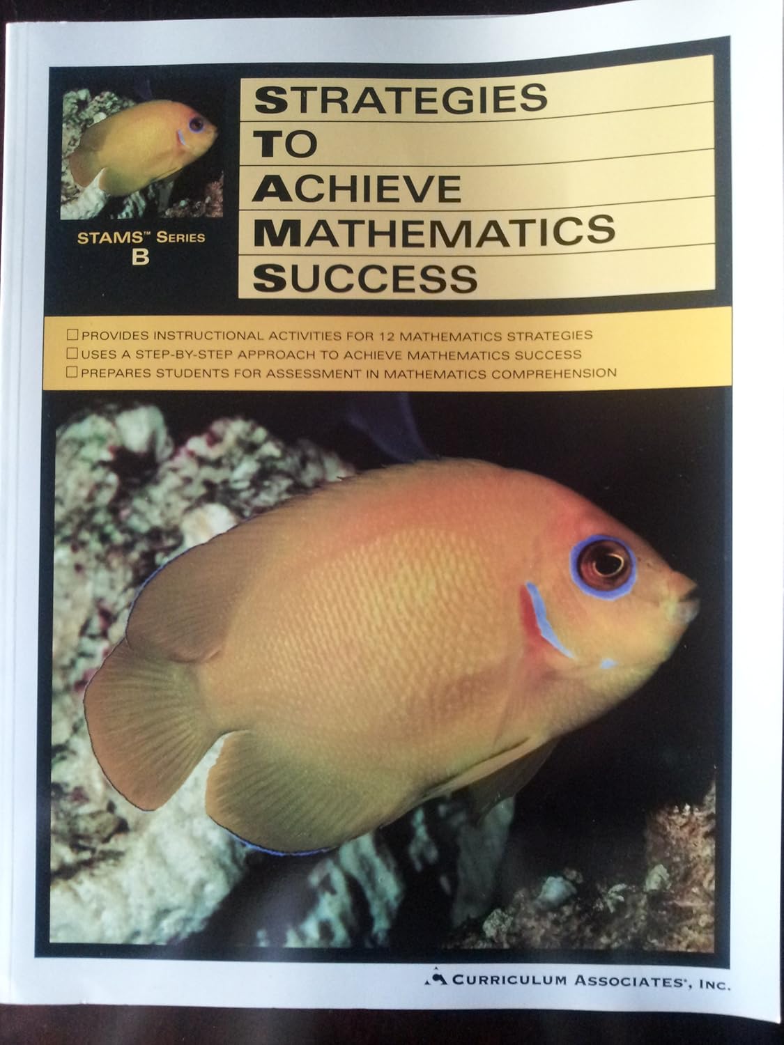 Strategies to Achieve Mathematics Success Book B (STAMS): Inc ...