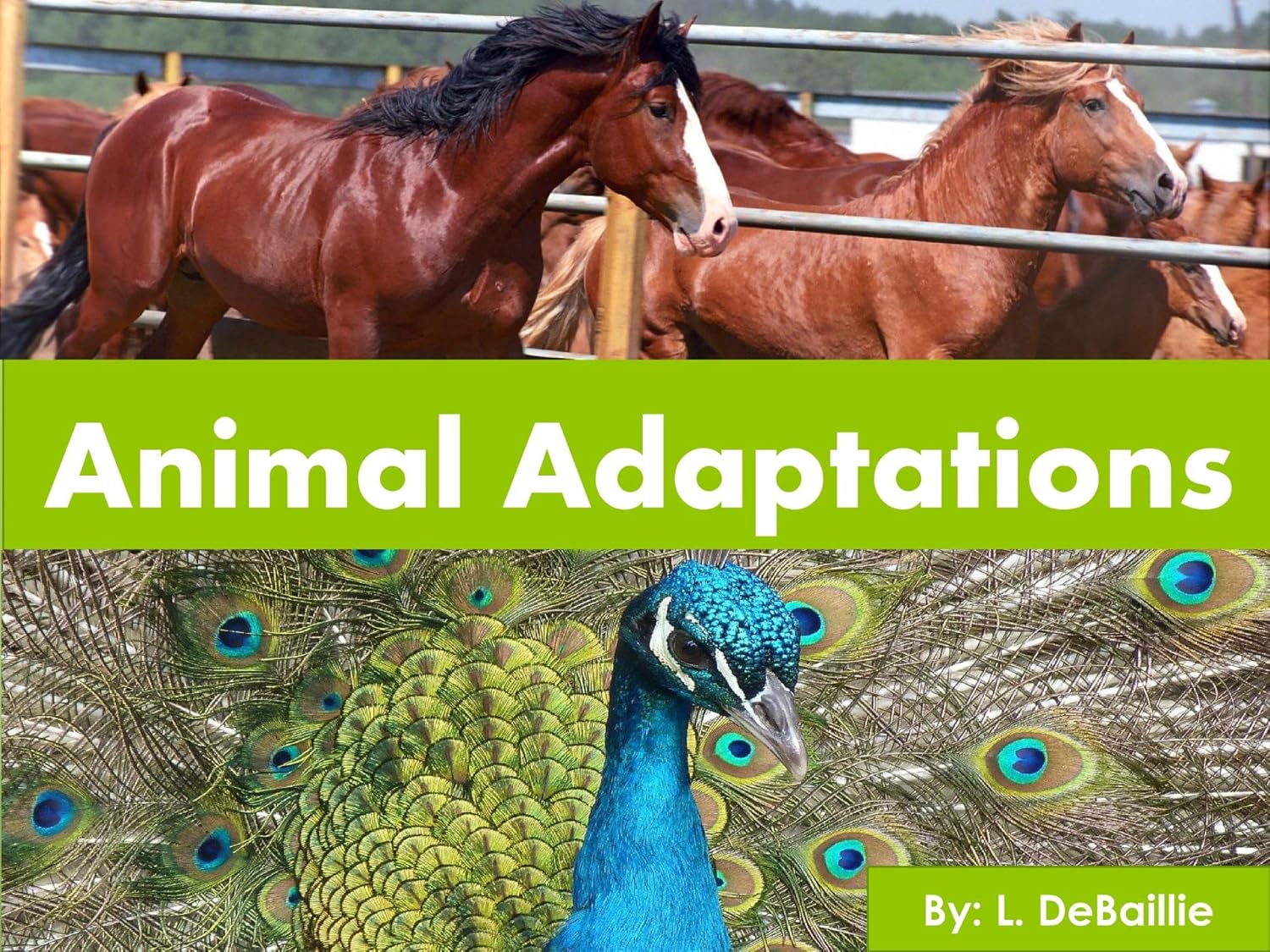 Amazon | Animal Adaptations (English Edition) [Kindle edition] by ...