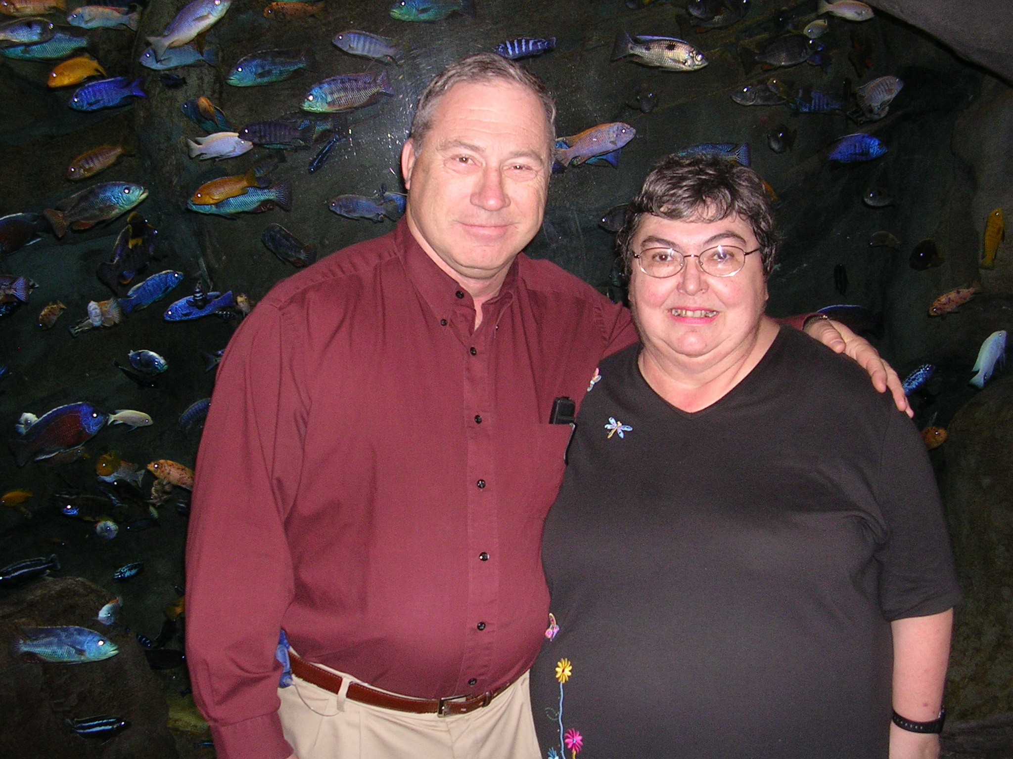 Amazon.com: Wayne Taylor: books, biography, latest update