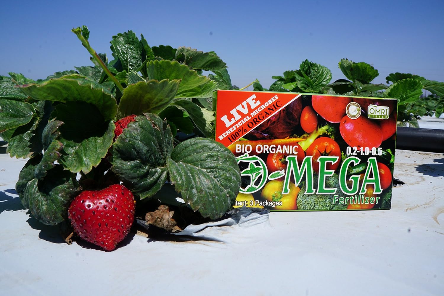 Amazon.com: O-MEGA Bio-Organic Fertilizer Satchet (3): Home & Kitchen