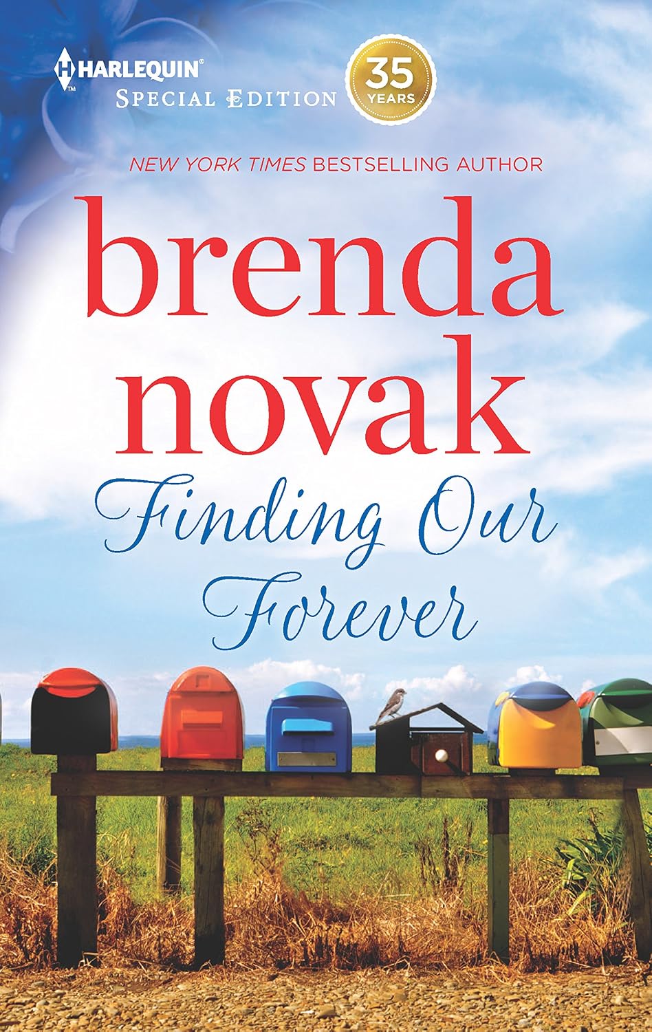 Finding Our Forever: Novak, Brenda: 9780373623389: Books - Amazon.ca